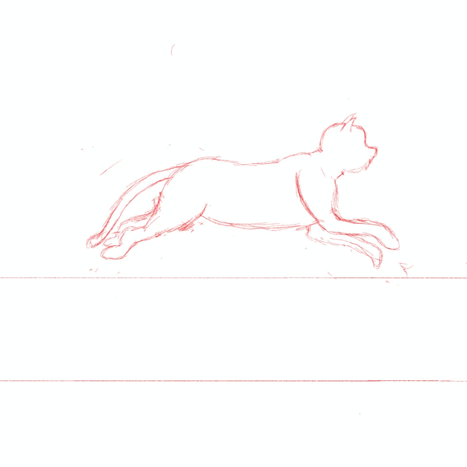 ArtStation - Rough Cat Run Cycle Animation