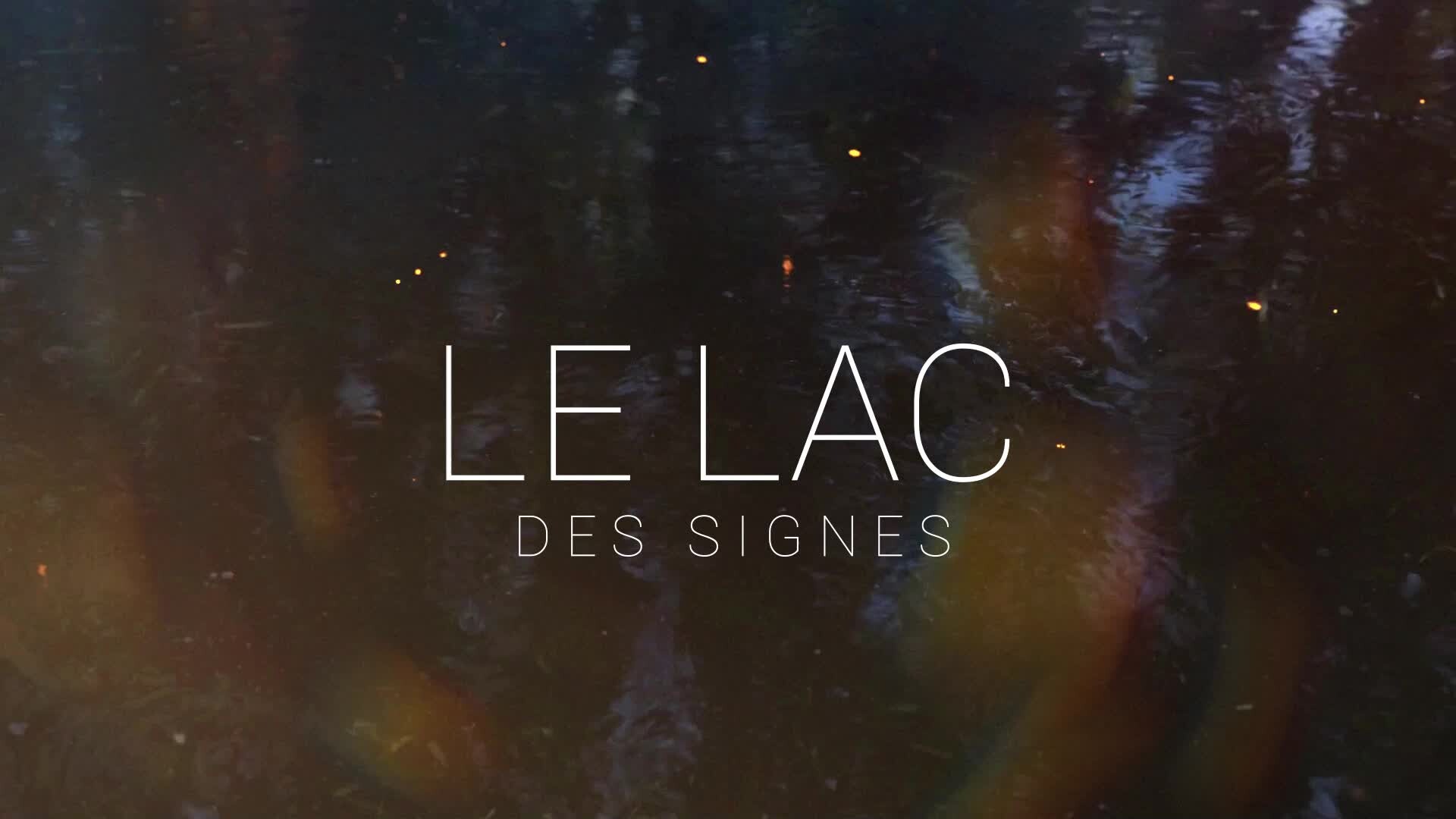 ArtStation - Le lac des signes