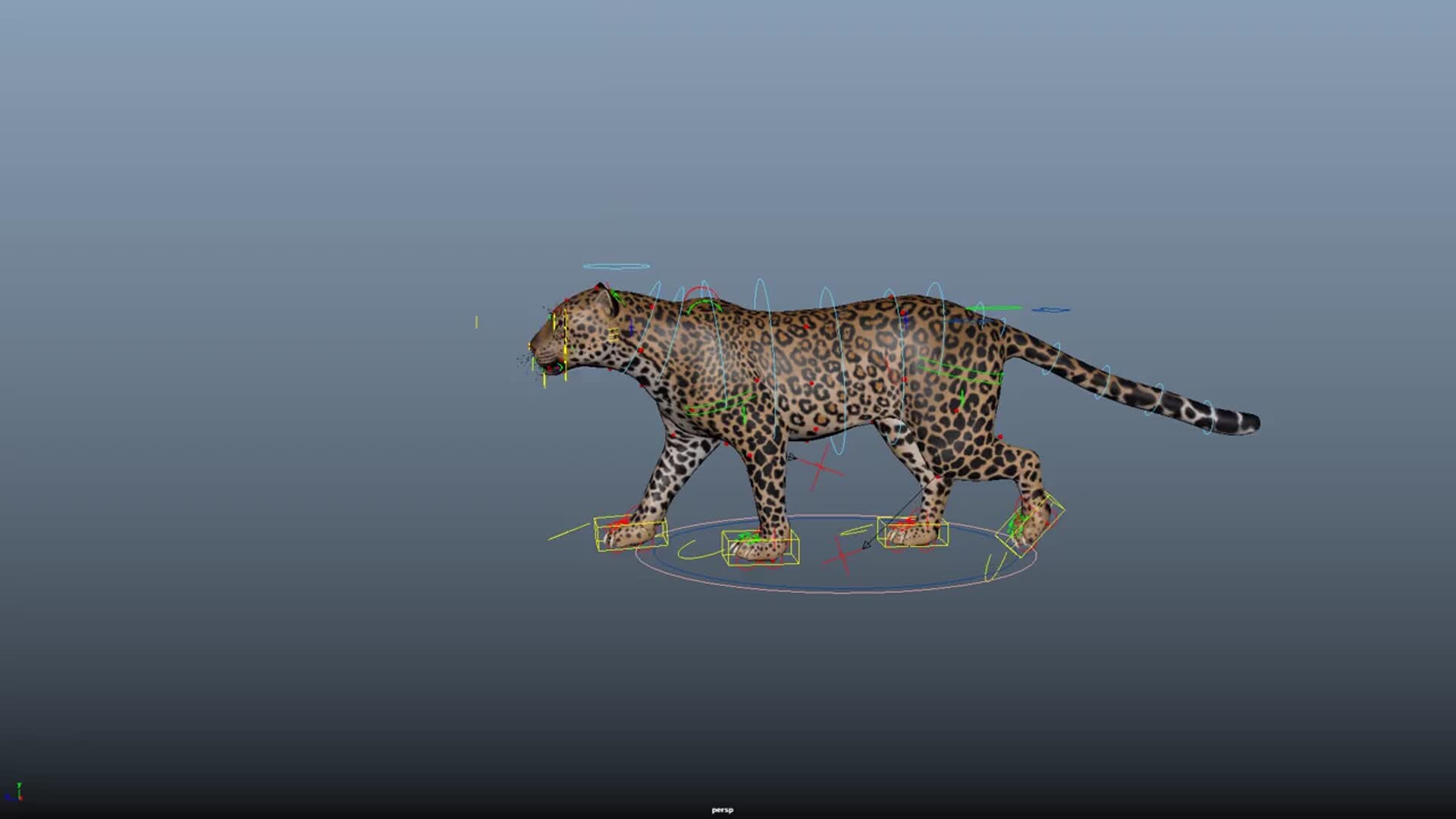ArtStation - Leopard animation