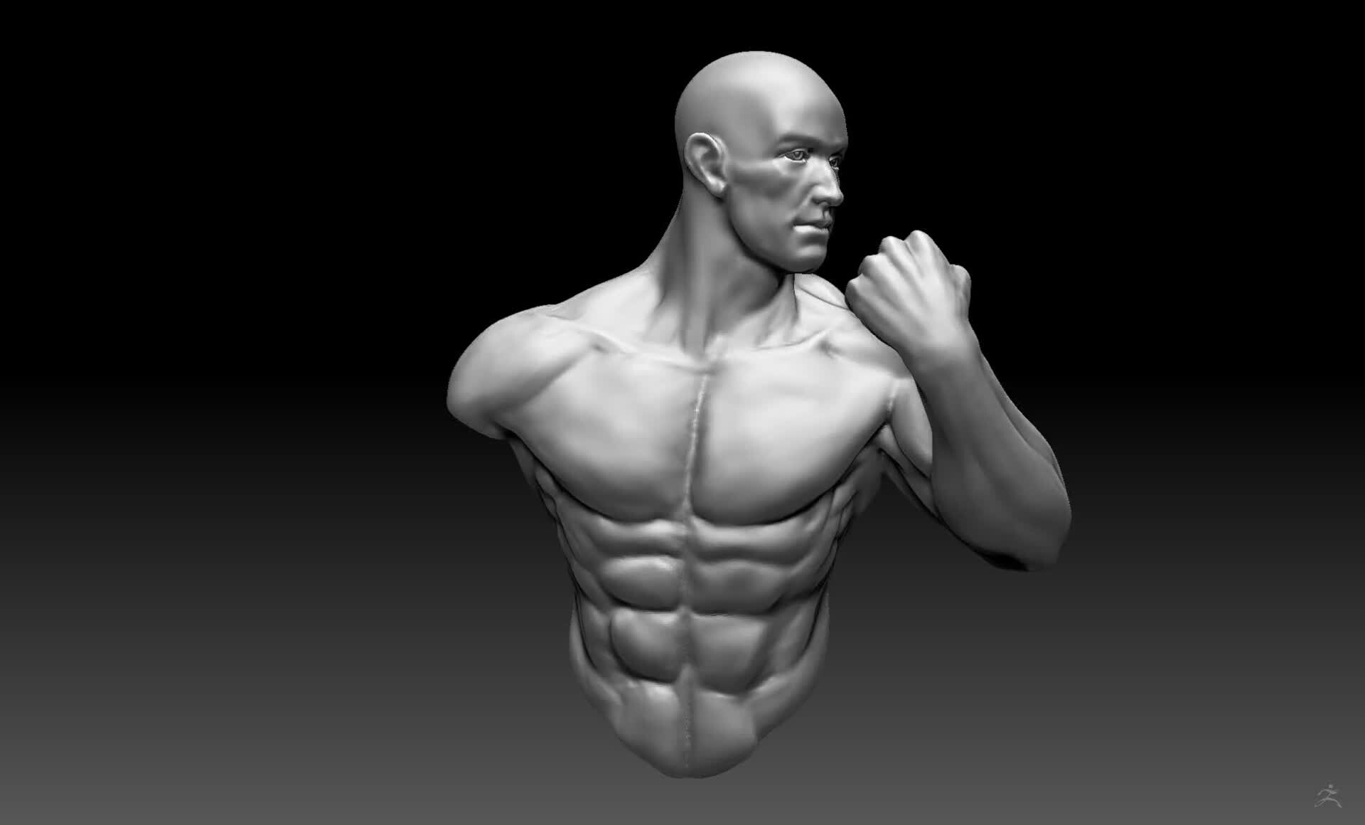 ArtStation - Anatomy Practice 1