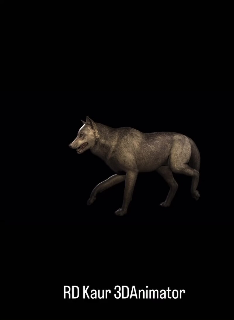 ArtStation - Raman Kaur