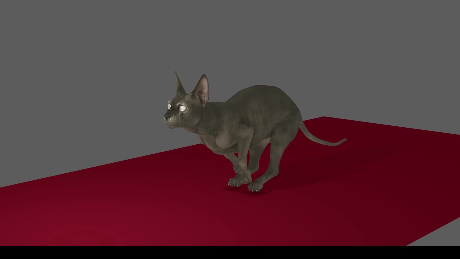 ArtStation - Cat run cycle