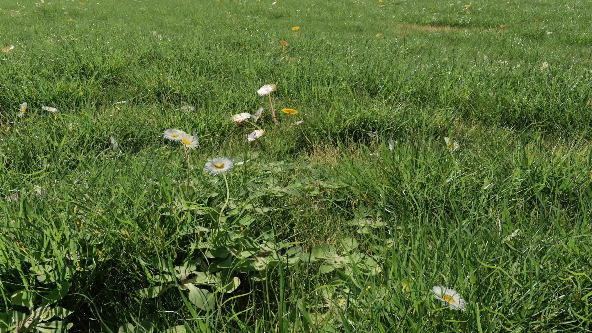 ArtStation - Realistic Terrain Design