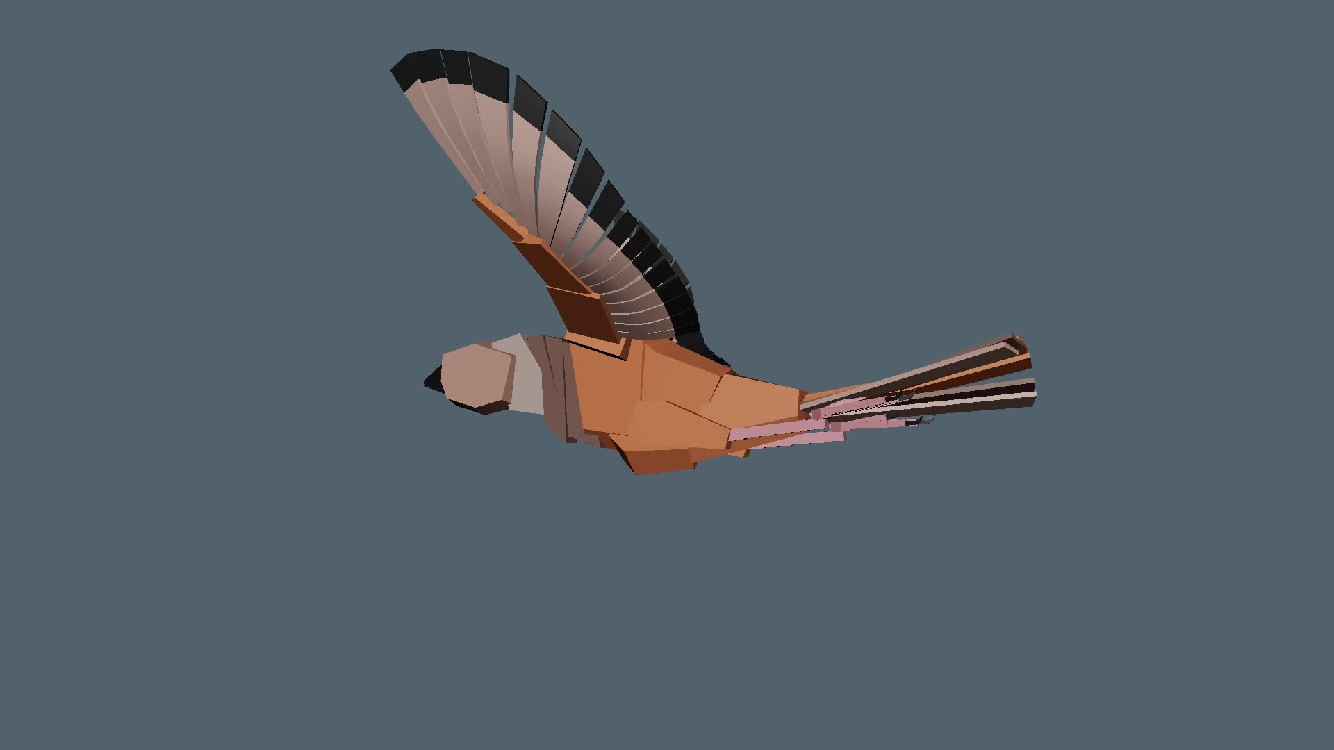 ArtStation - Fly Cycle