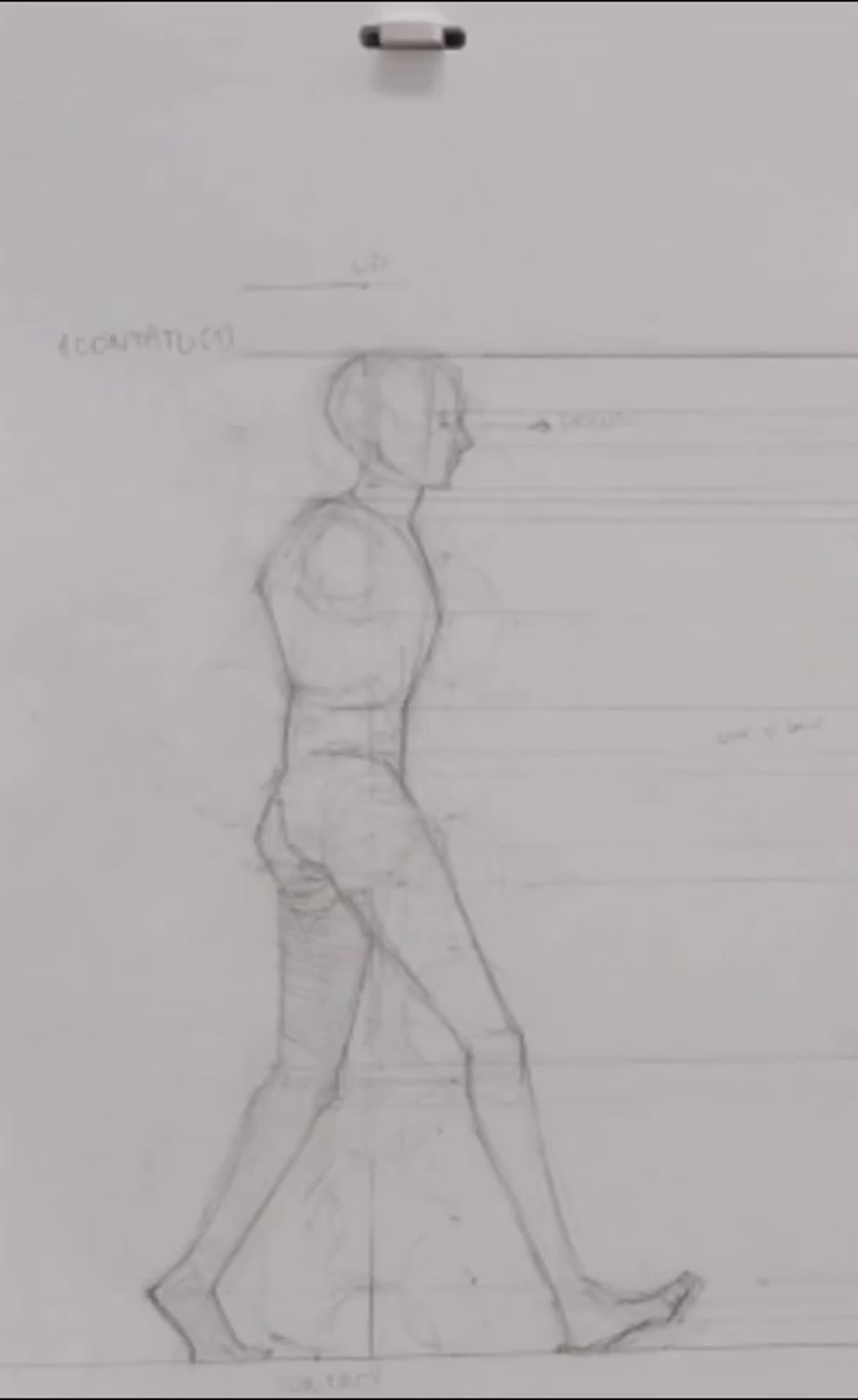 ArtStation - First walk cycle