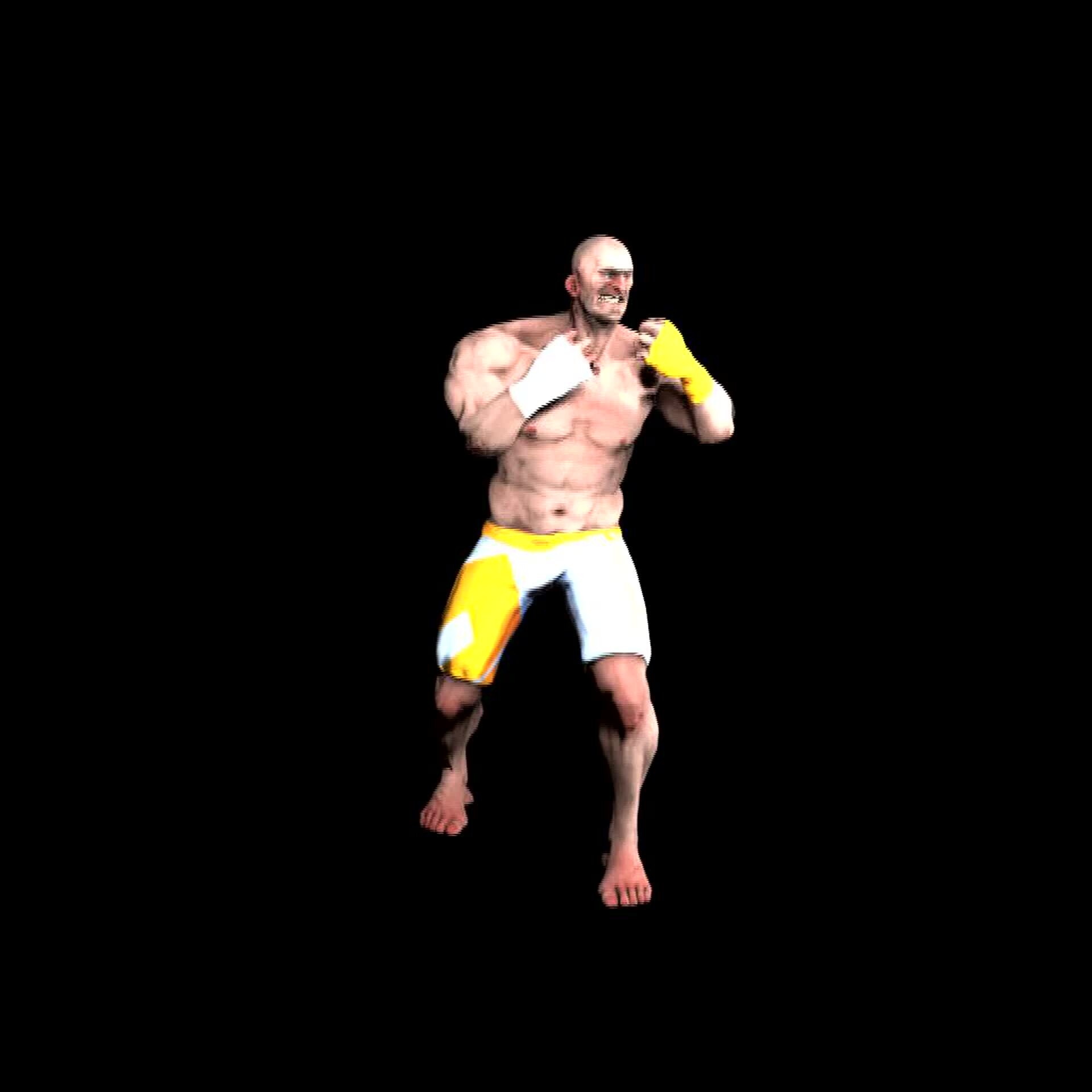ArtStation - Animations for a fighting character