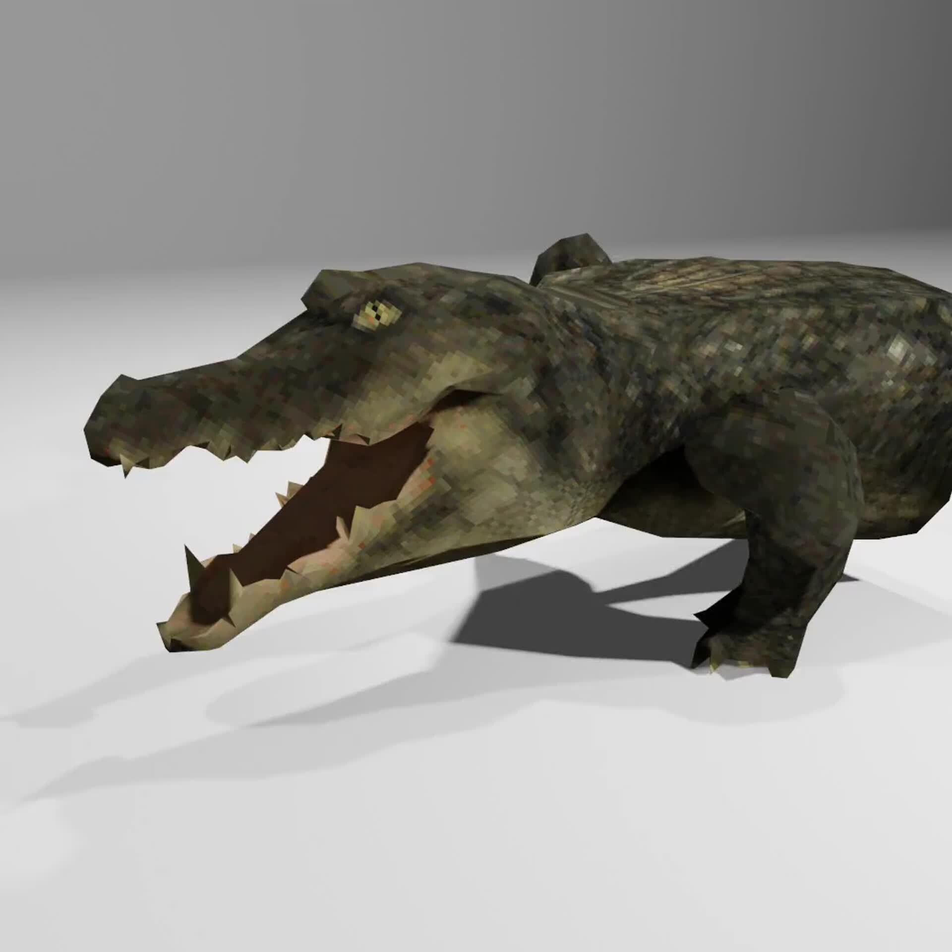 ArtStation - Alligator Animations