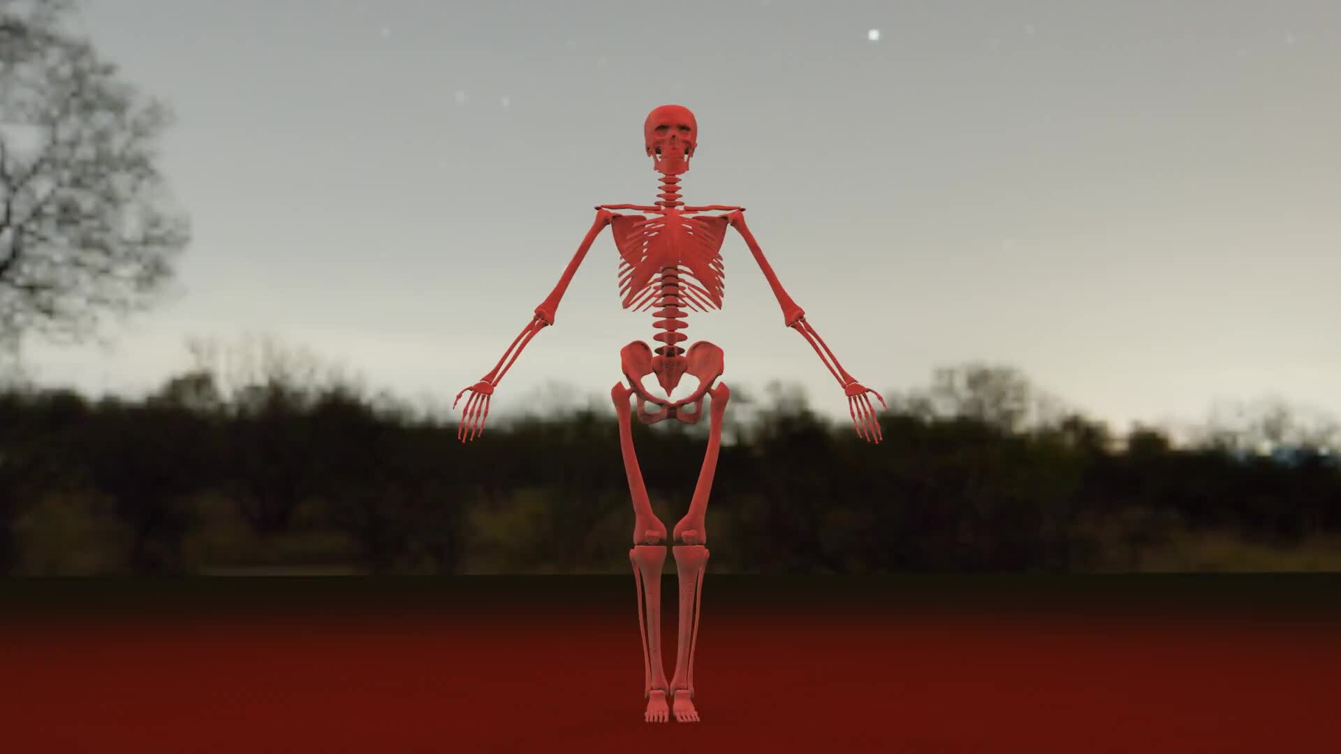 ArtStation - Skeleton