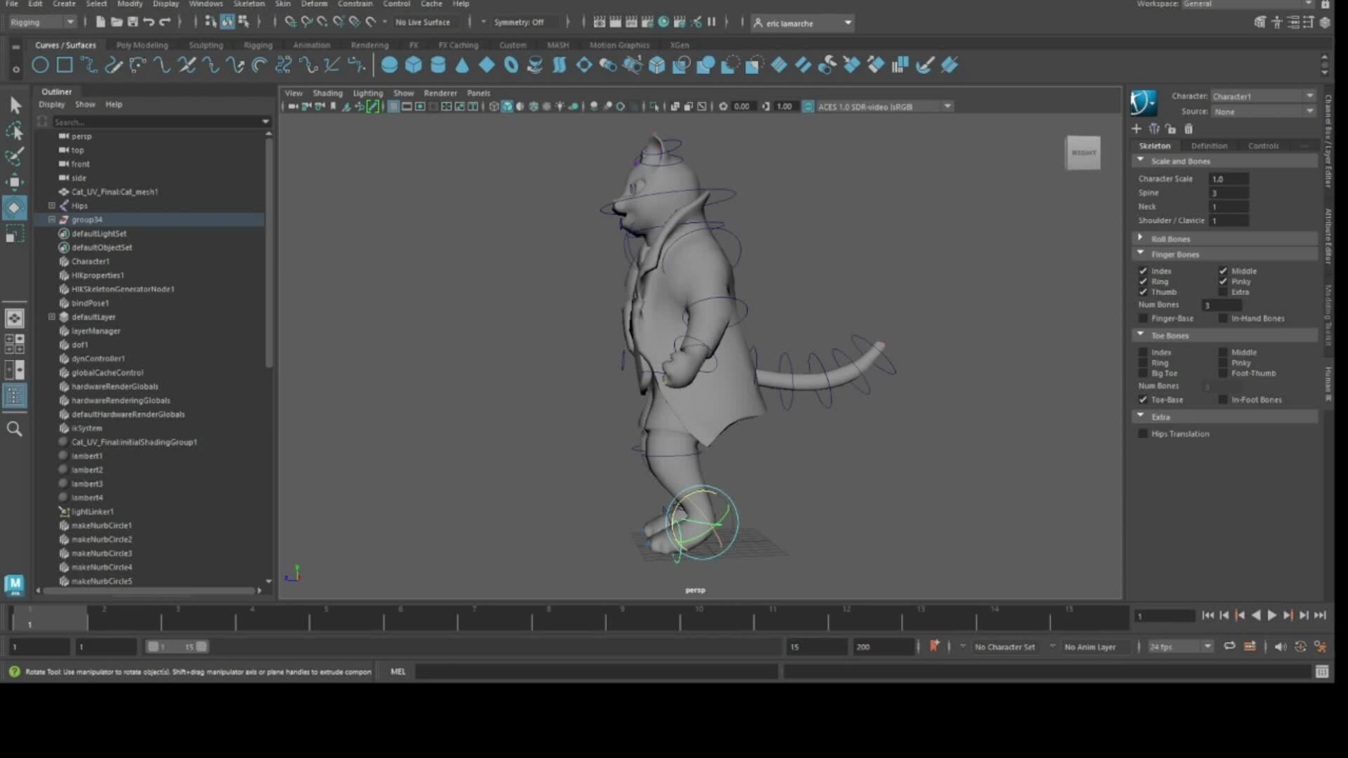 ArtStation - Cat Rigging