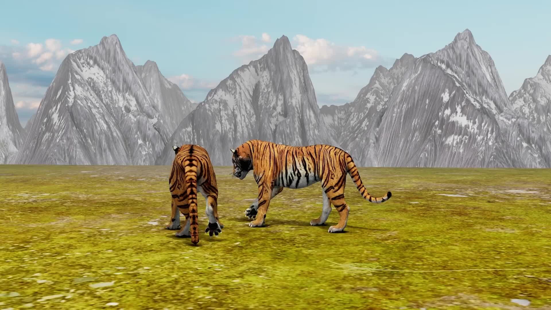 ArtStation - Tiger Fight Sequence