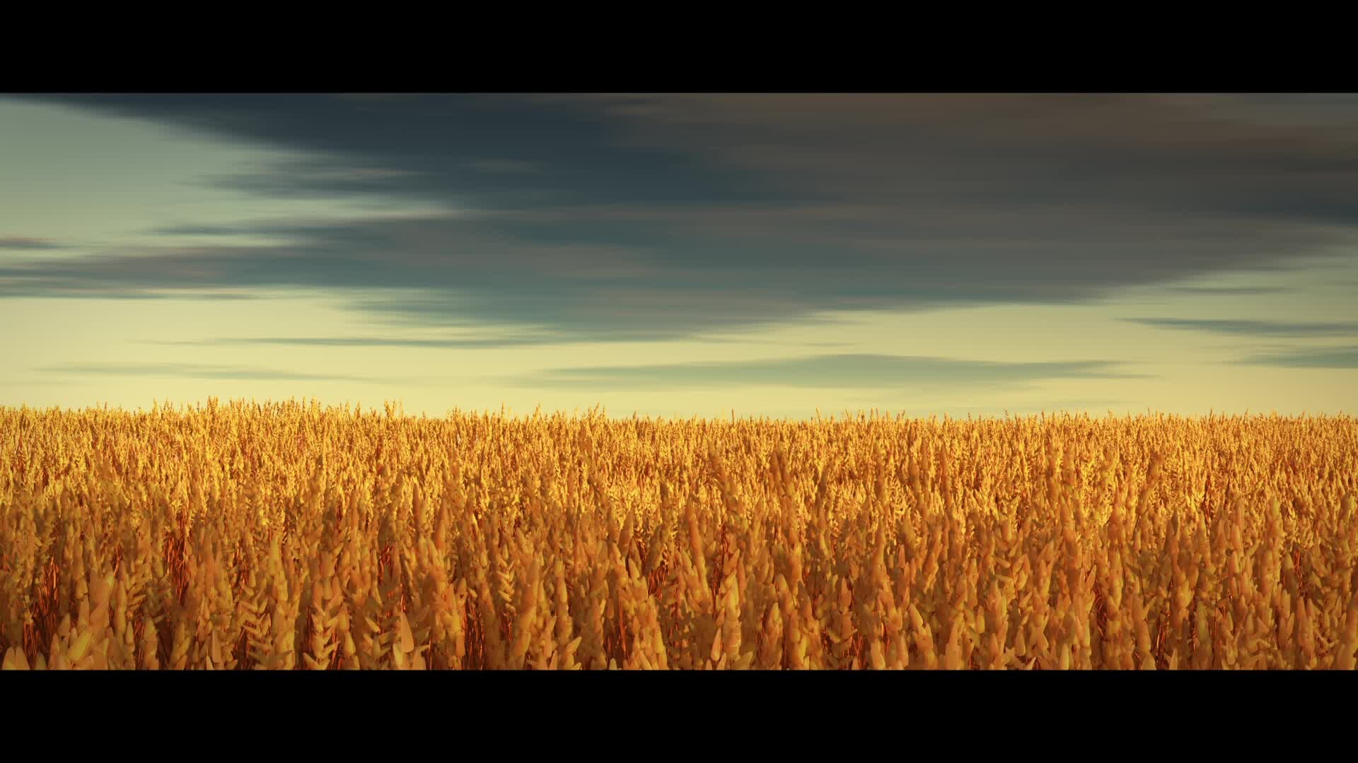 ArtStation - Wheat Field