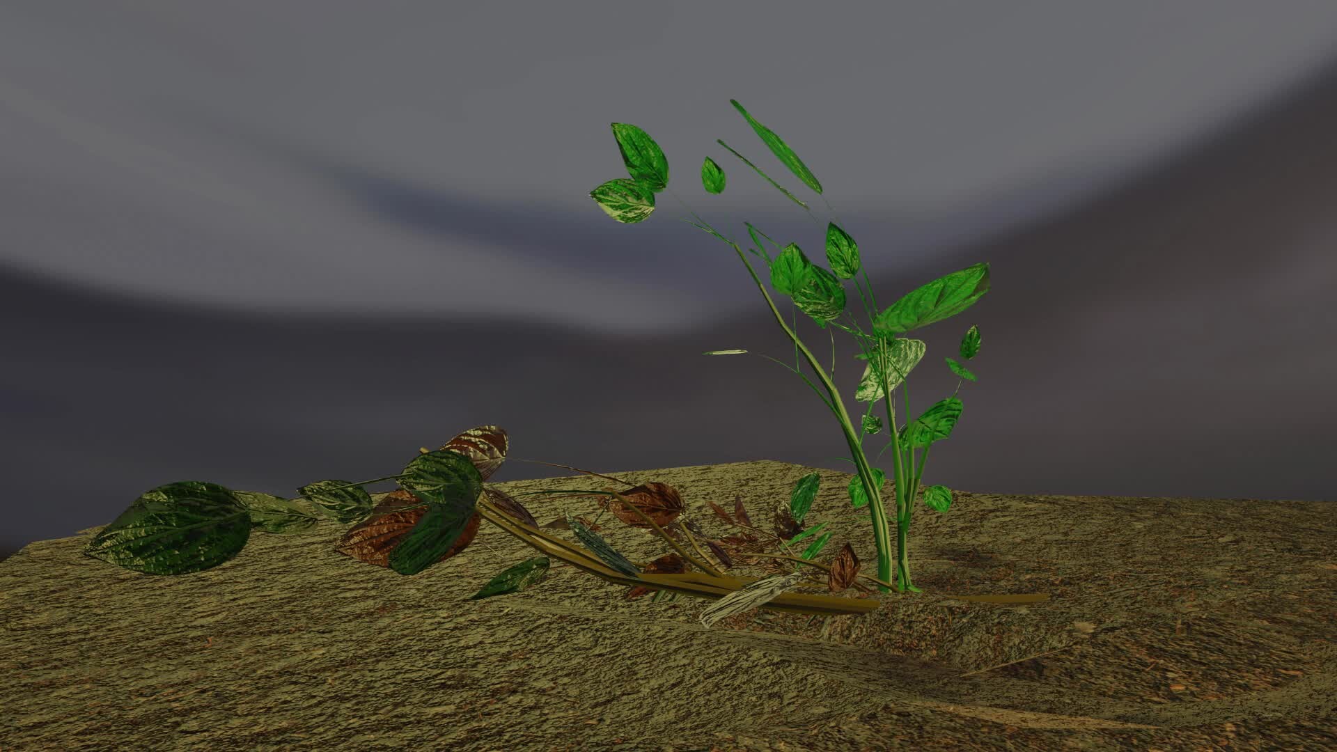 ArtStation - Old and sick tree with her child animation/ concept animation