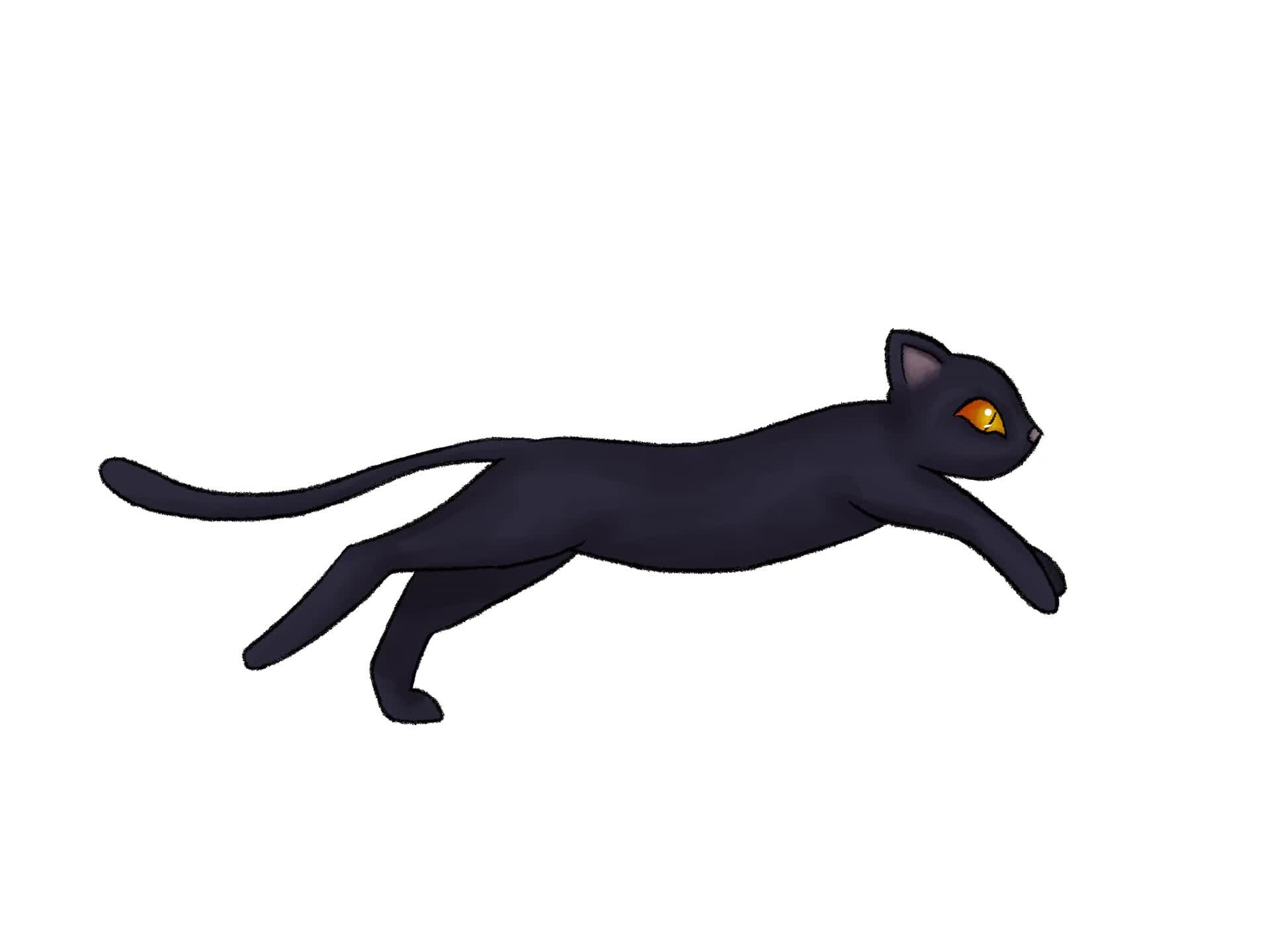 ArtStation - Cat running and walking animation