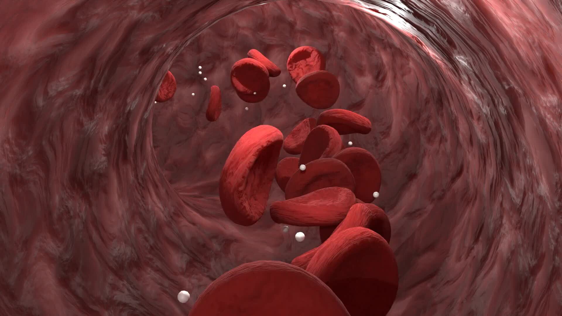 ArtStation - Blood cells animation
