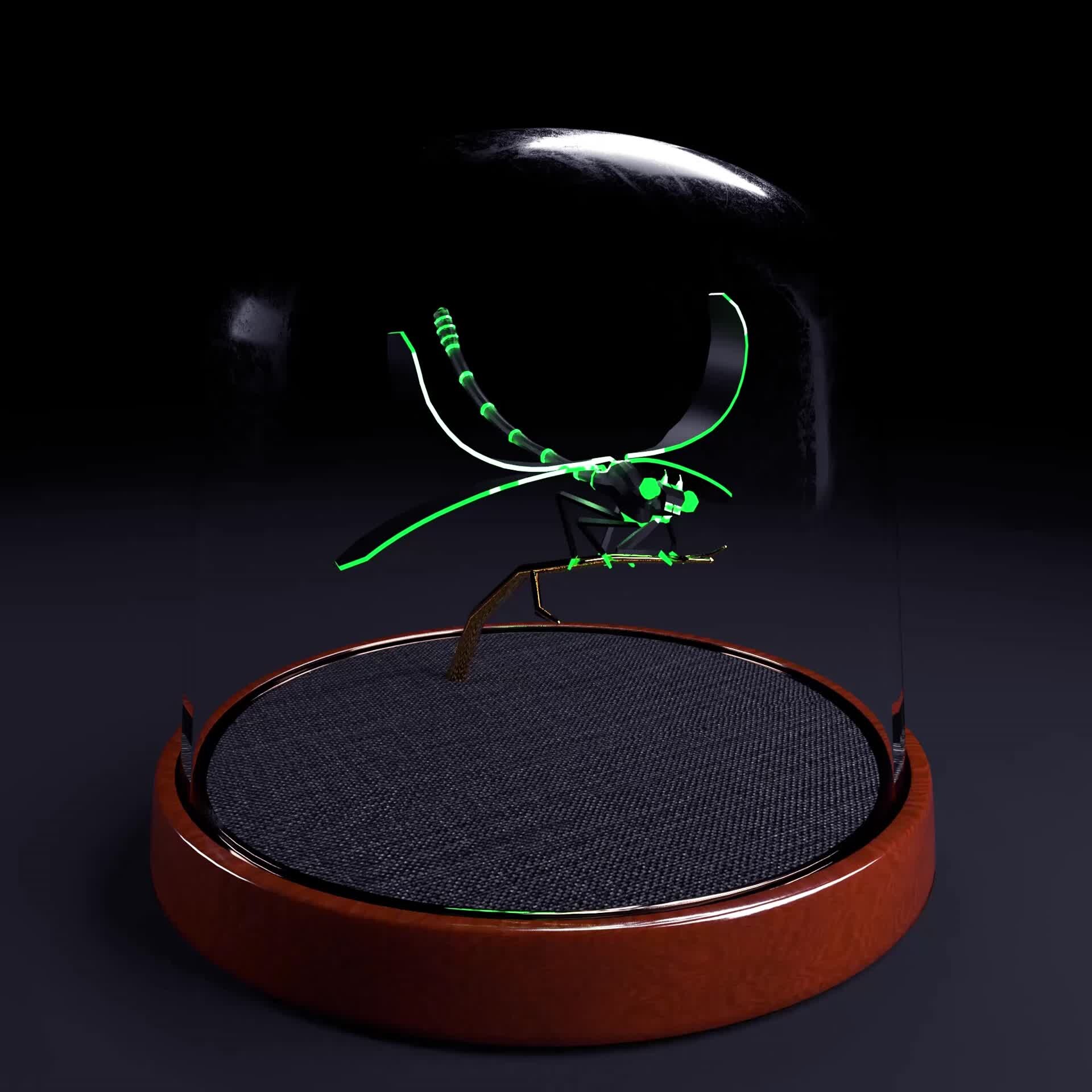 ArtStation - Low Poly Bugs