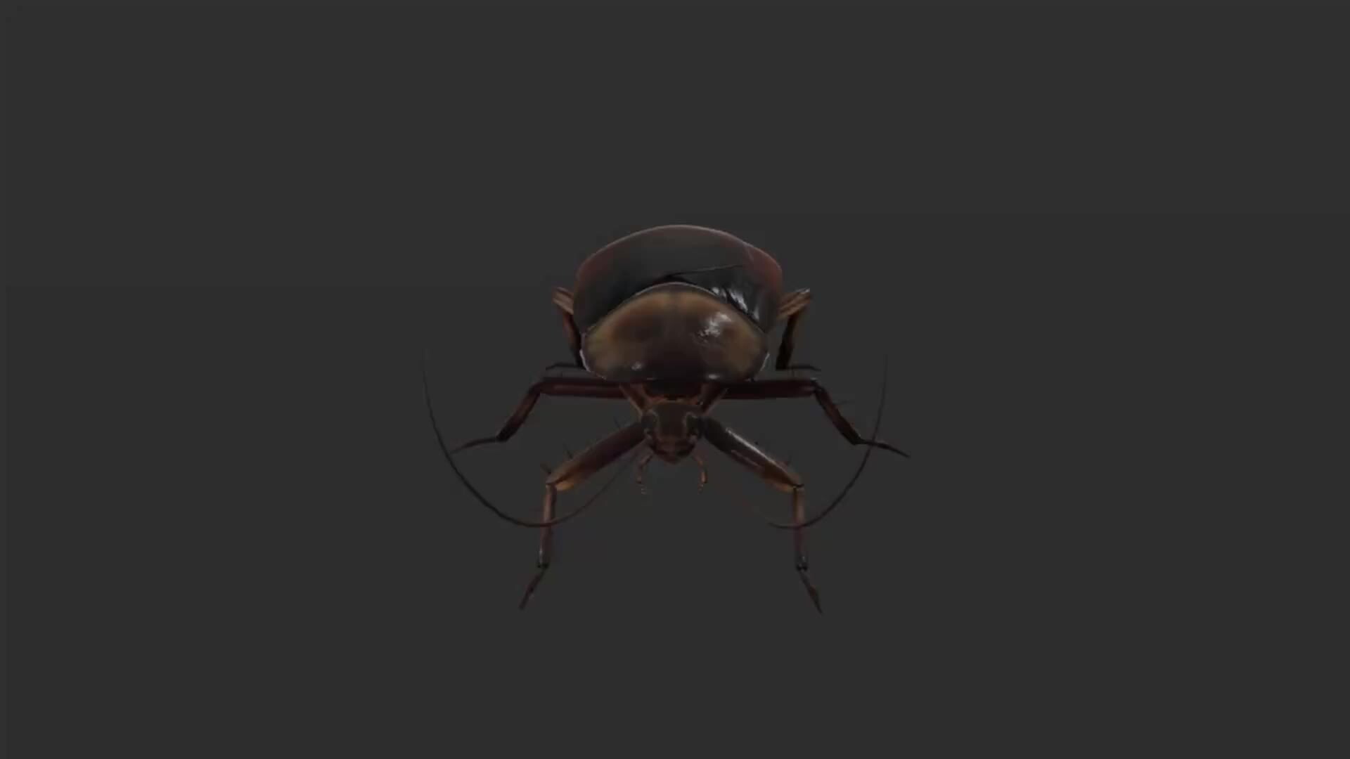 ArtStation - Project Insects