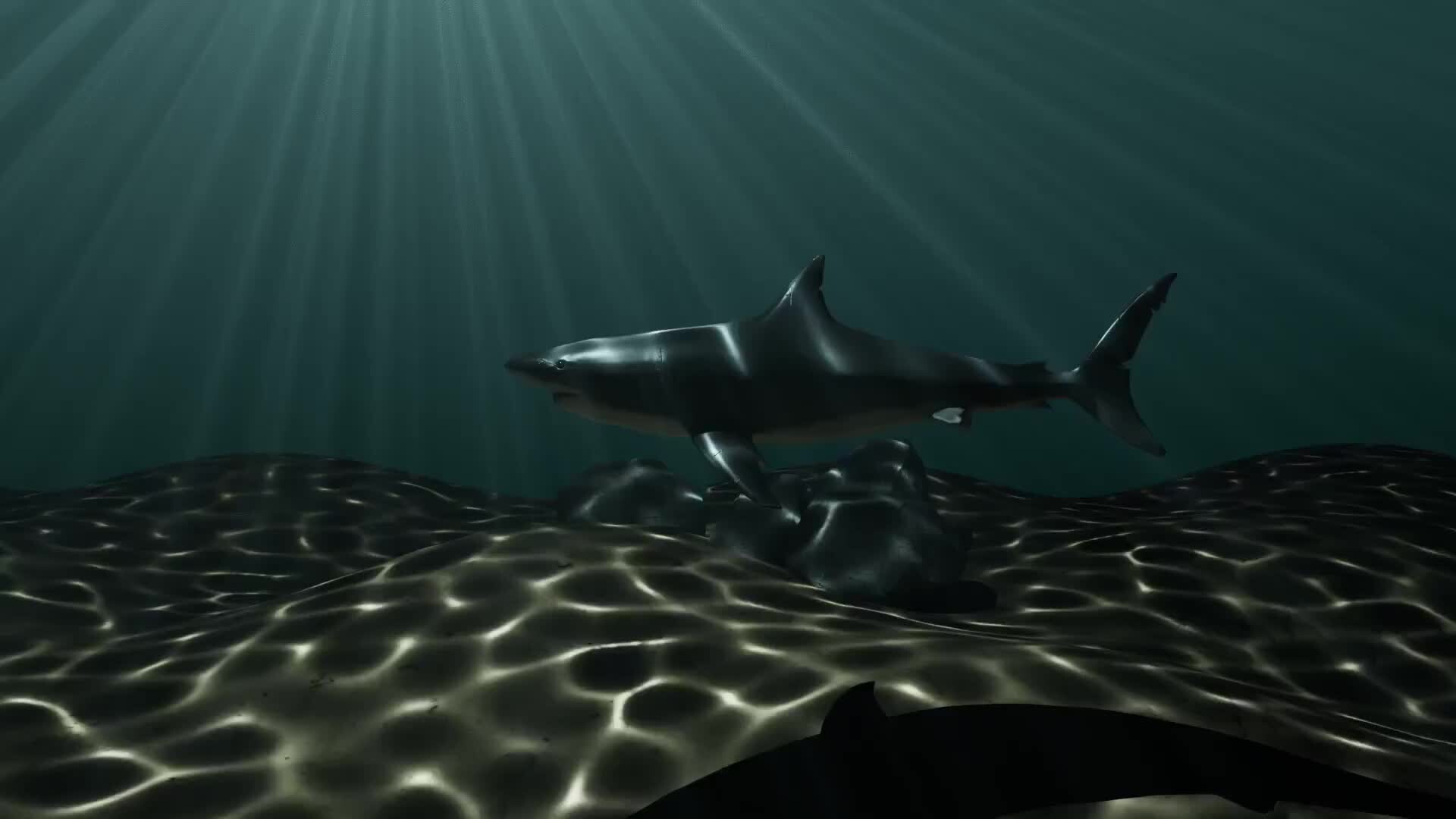 ArtStation - The Captain Octopus