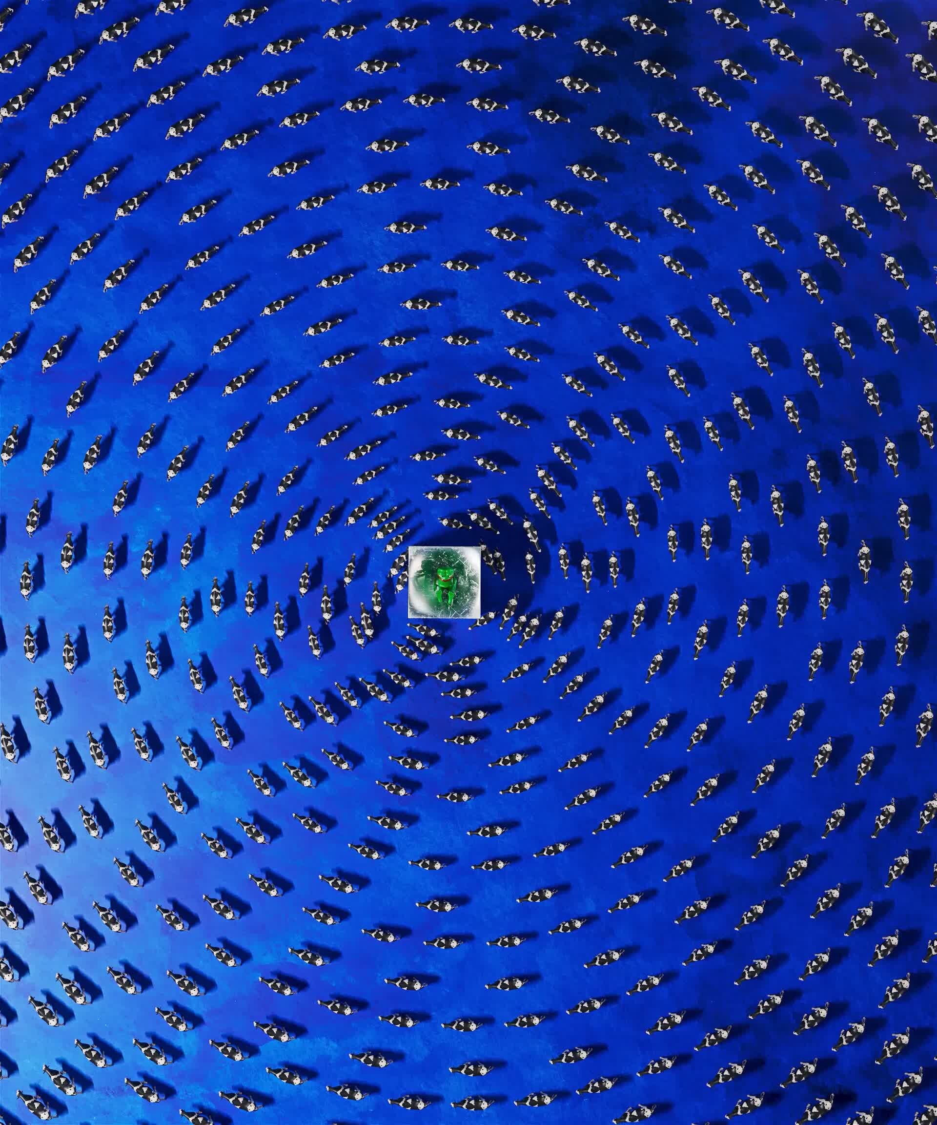 ArtStation - 🐄🐸Attraction🐸🐄