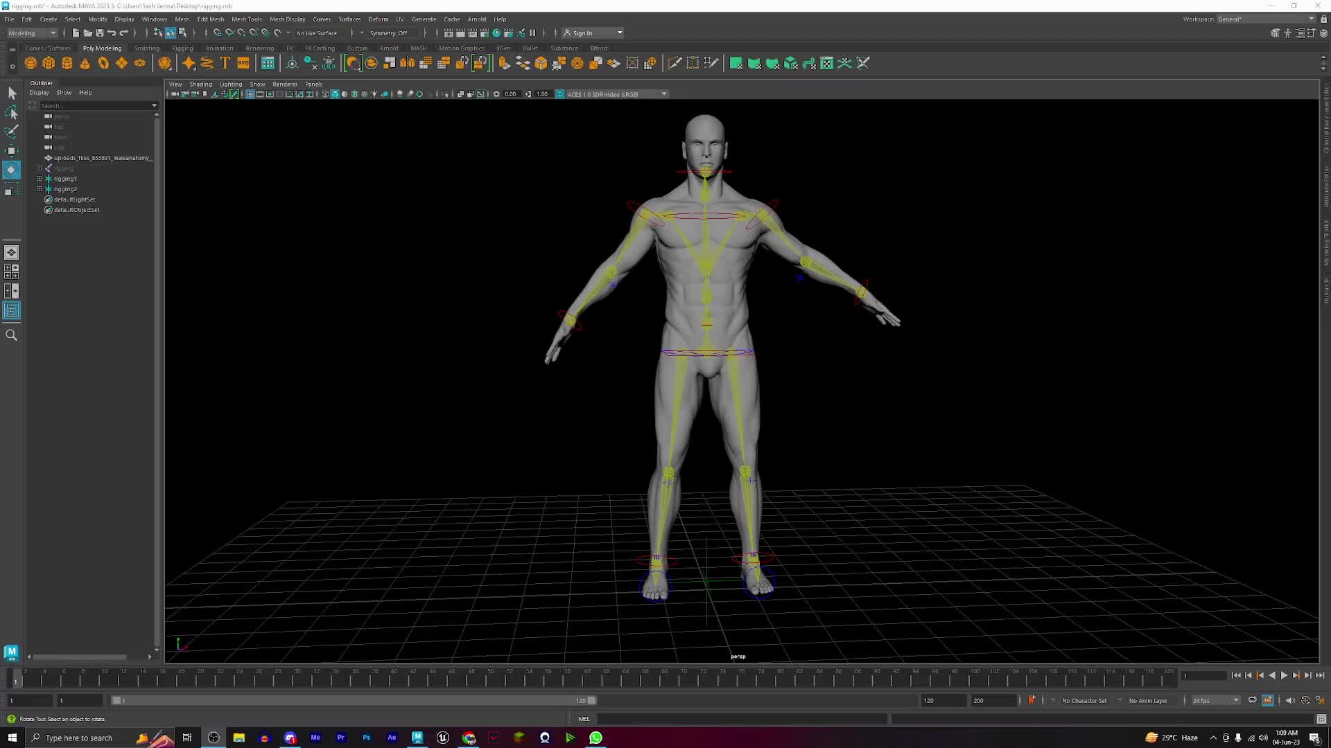 ArtStation - Human rigging in maya