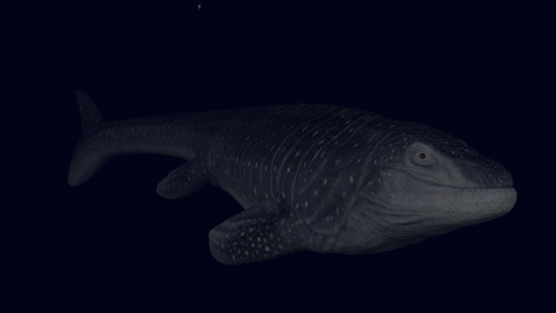 ArtStation - Prognathodon - Swimming Animations