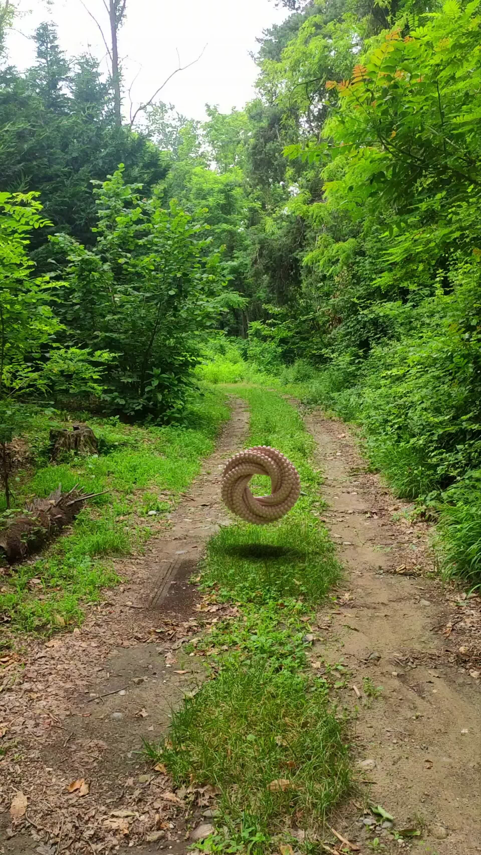 ArtStation - Abstract art in the forest