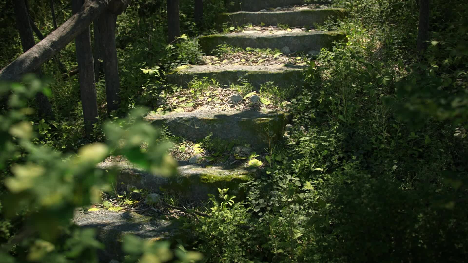 ArtStation - Forest Stairs - Environment Art