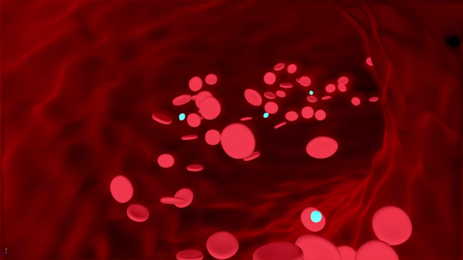 ArtStation - 3D Blood Cell Animation