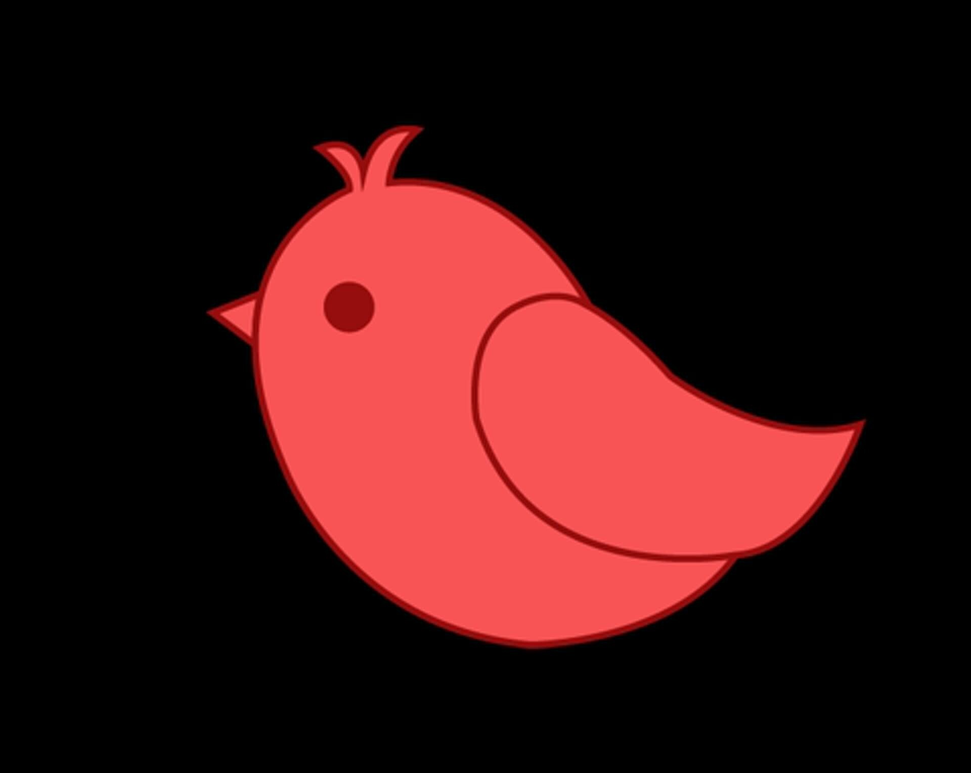 ArtStation - Bird animations