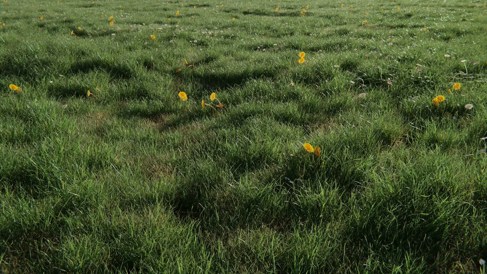 ArtStation - Grass field