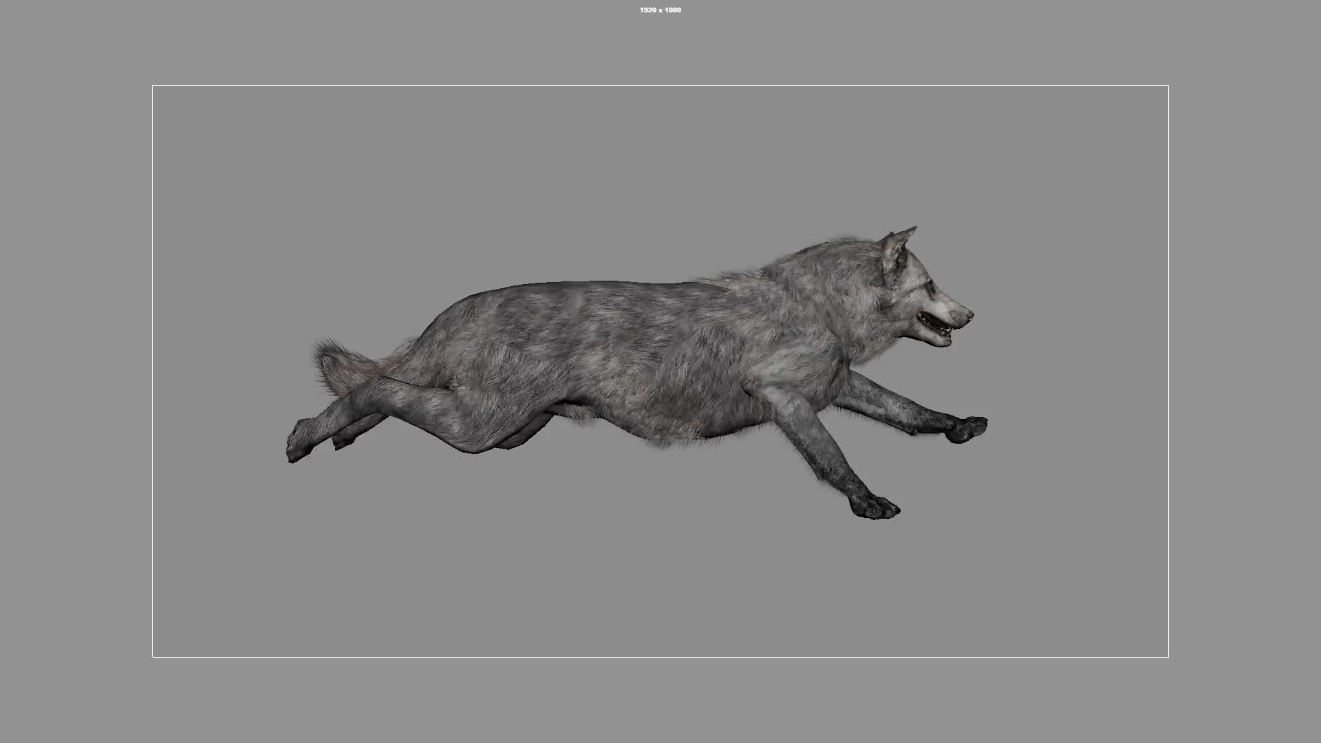 Wolf Run Cycle Steps