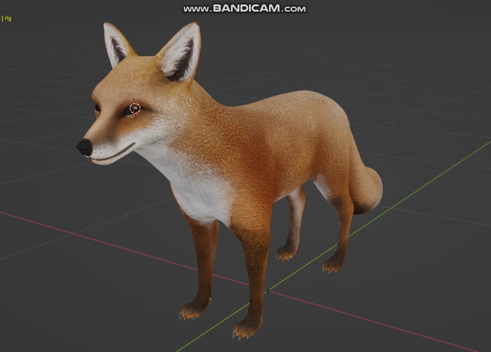 ArtStation - Animal rig
