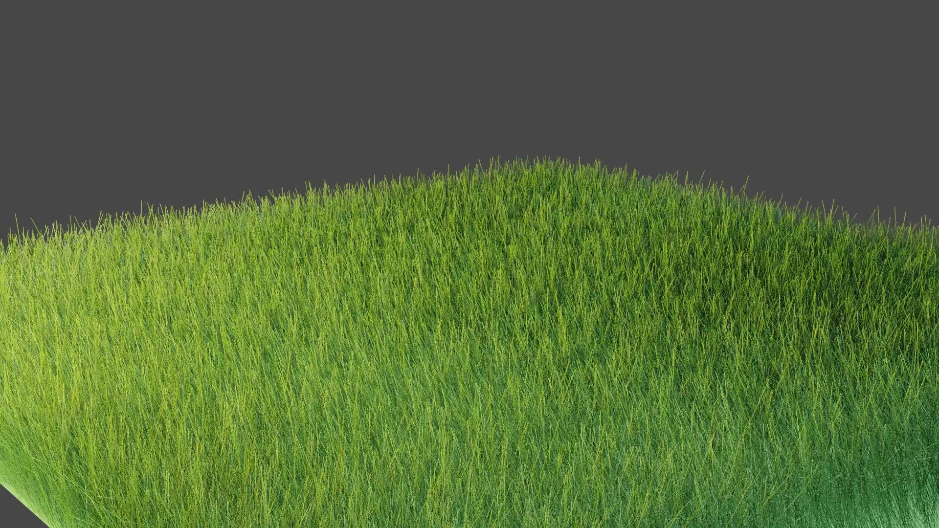ArtStation - Grass animated