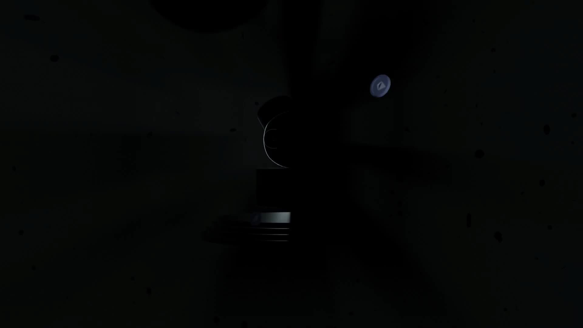 ArtStation - 3D On chain Monkey Anim