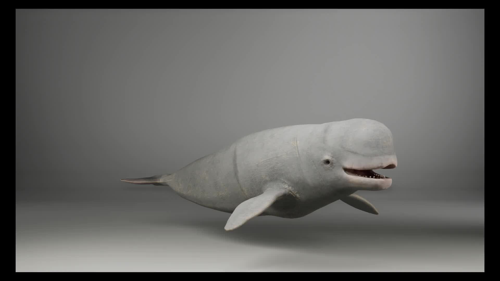 ArtStation - Beluga - R&D Prj