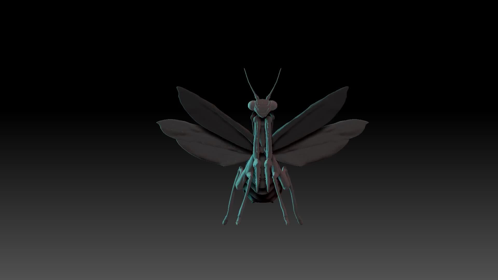 ArtStation - Praying Mantis Sculpt Sketch