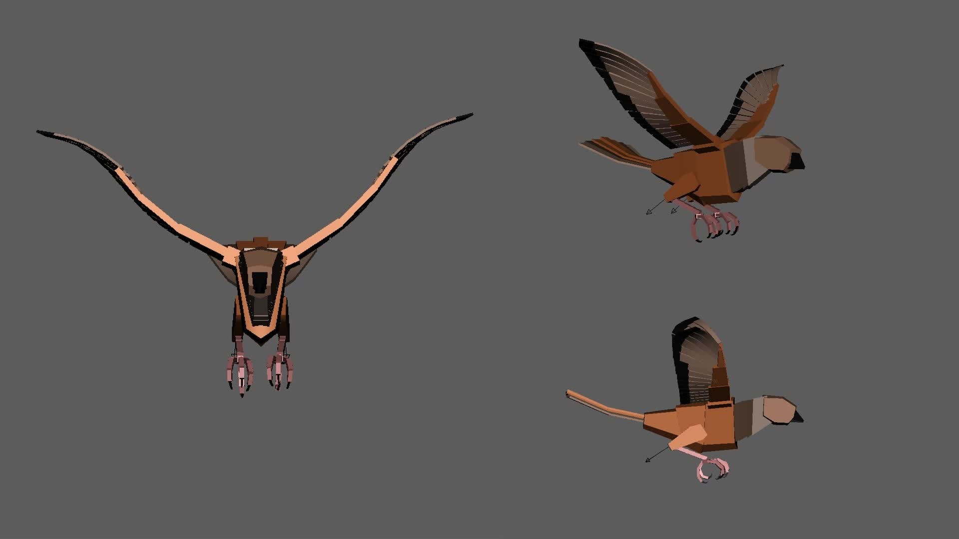 ArtStation - Flight cycle of a bird