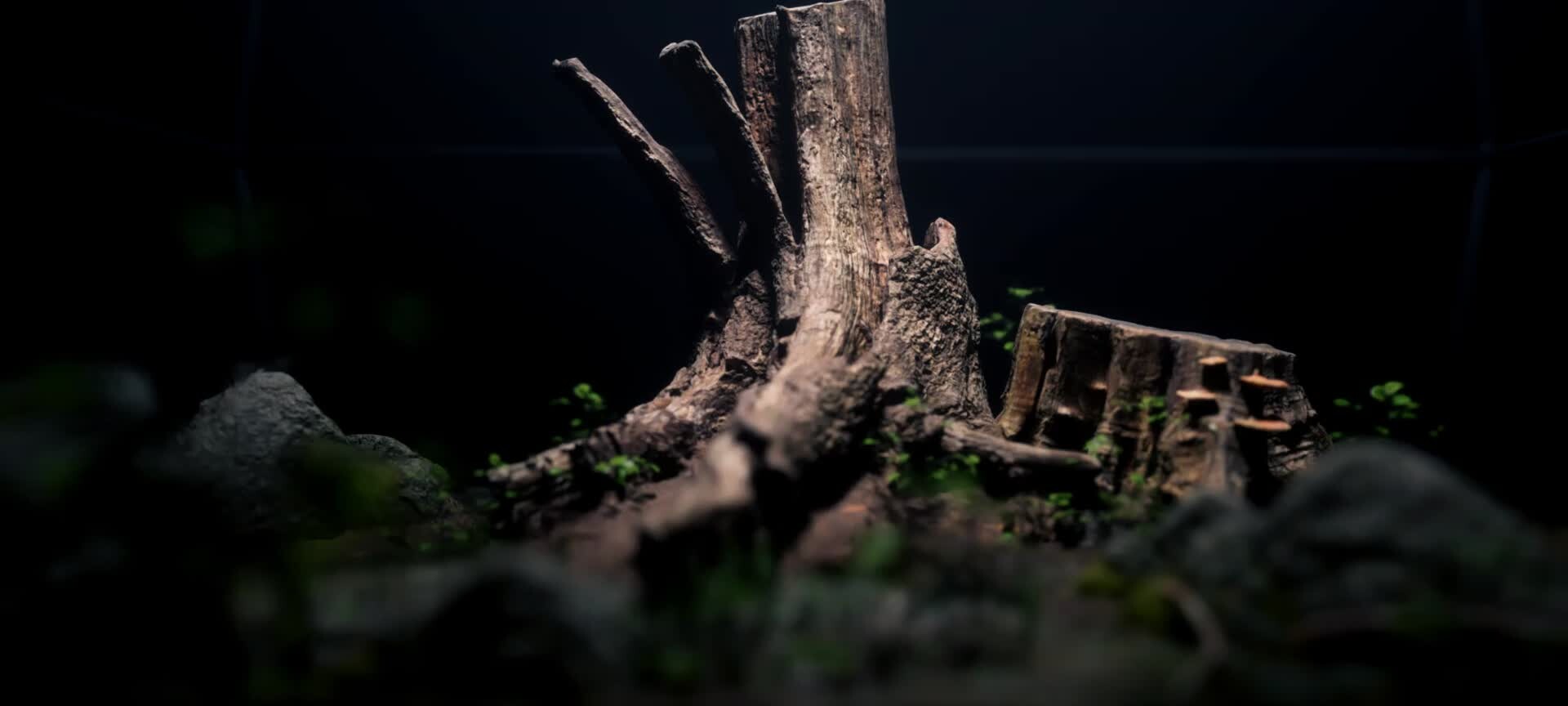 ArtStation - Some random log