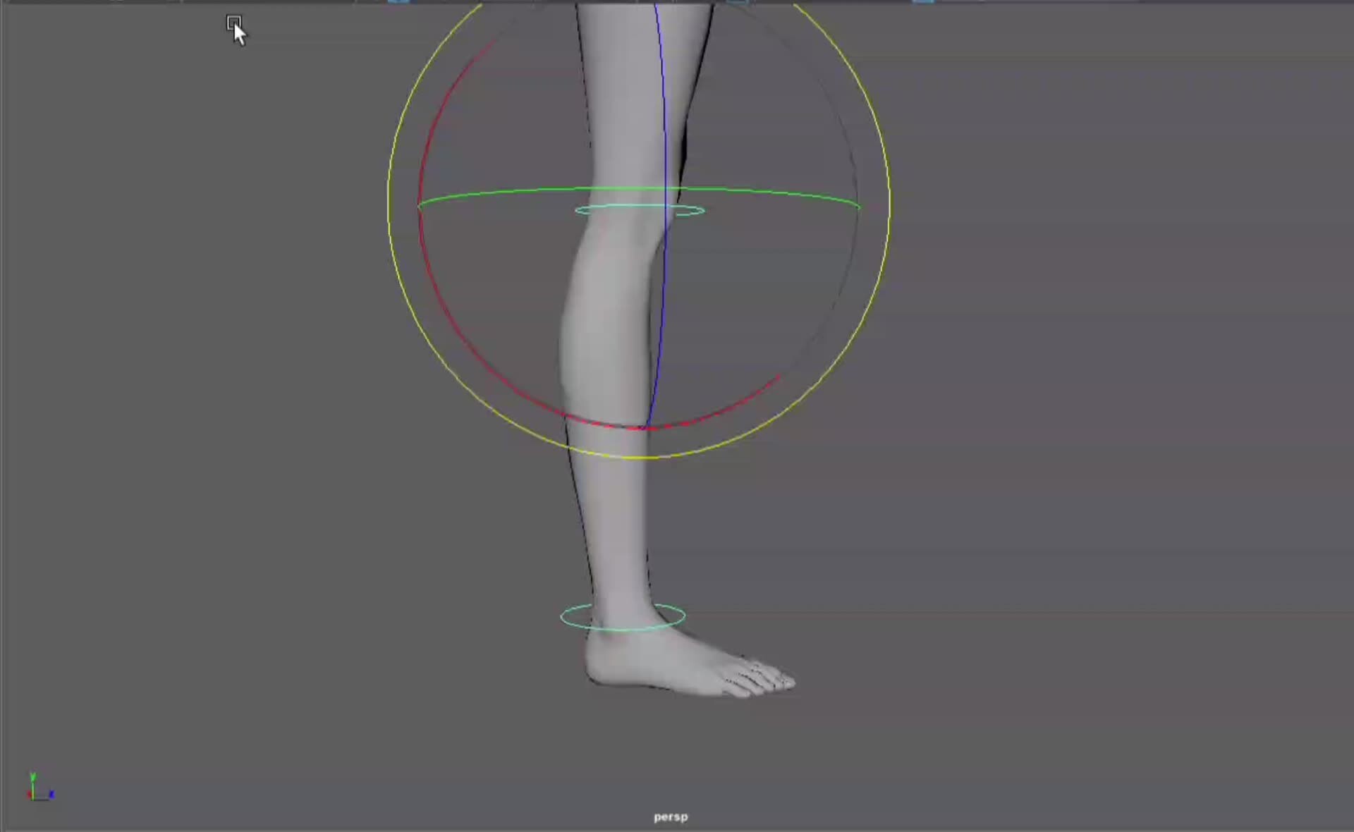 Neethu Vijay - Leg Rig