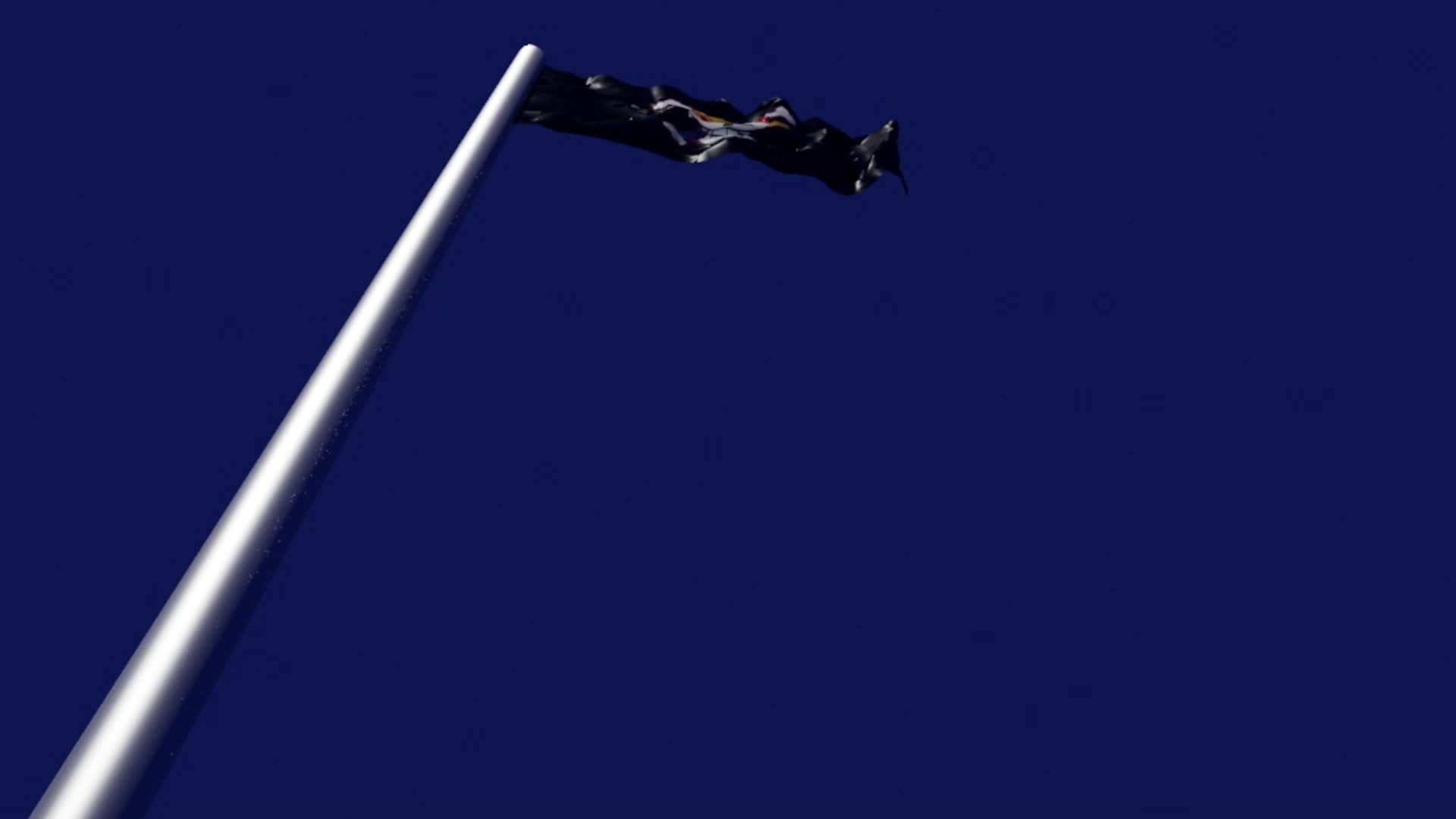 ArtStation - One Piece flag