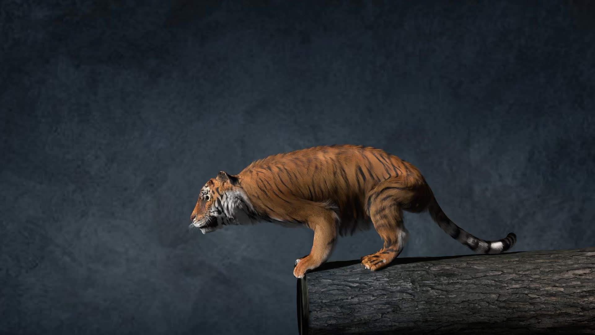 ArtStation - Tiger Jump Animation
