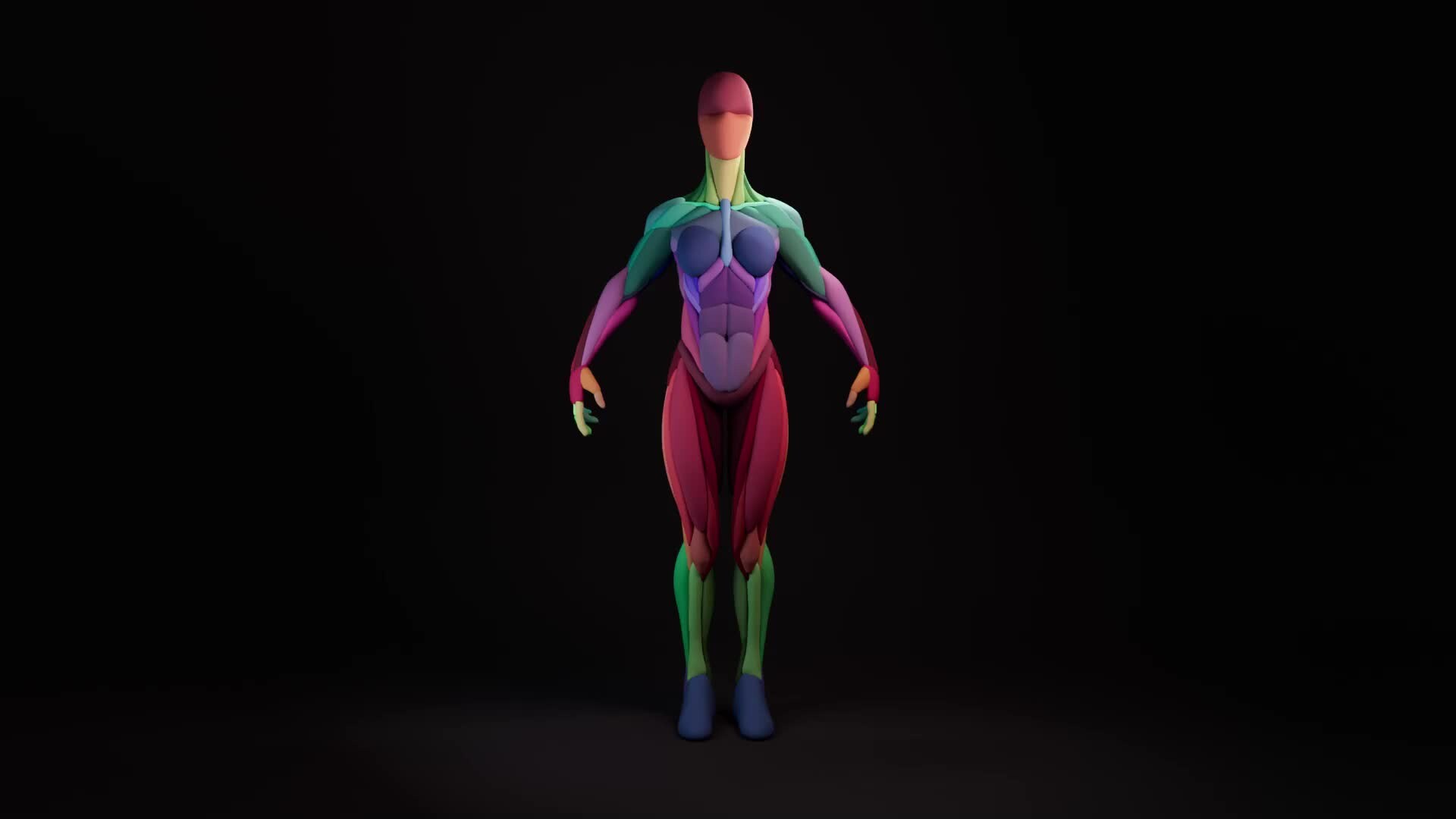 ArtStation - Female Muscle Study - Laina Culberson