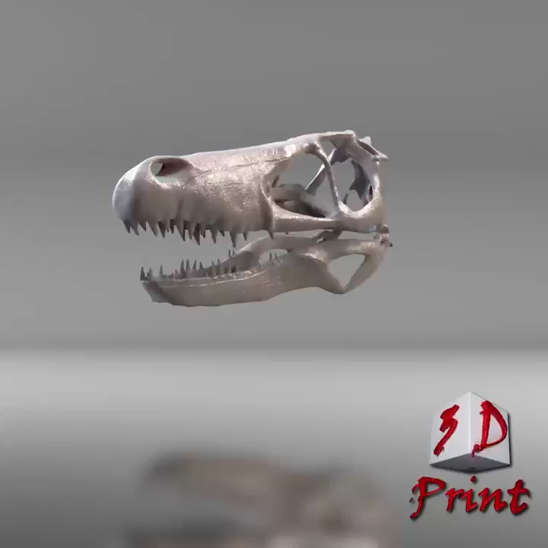 ArtStation - Velociraptor Skull - 3D print project