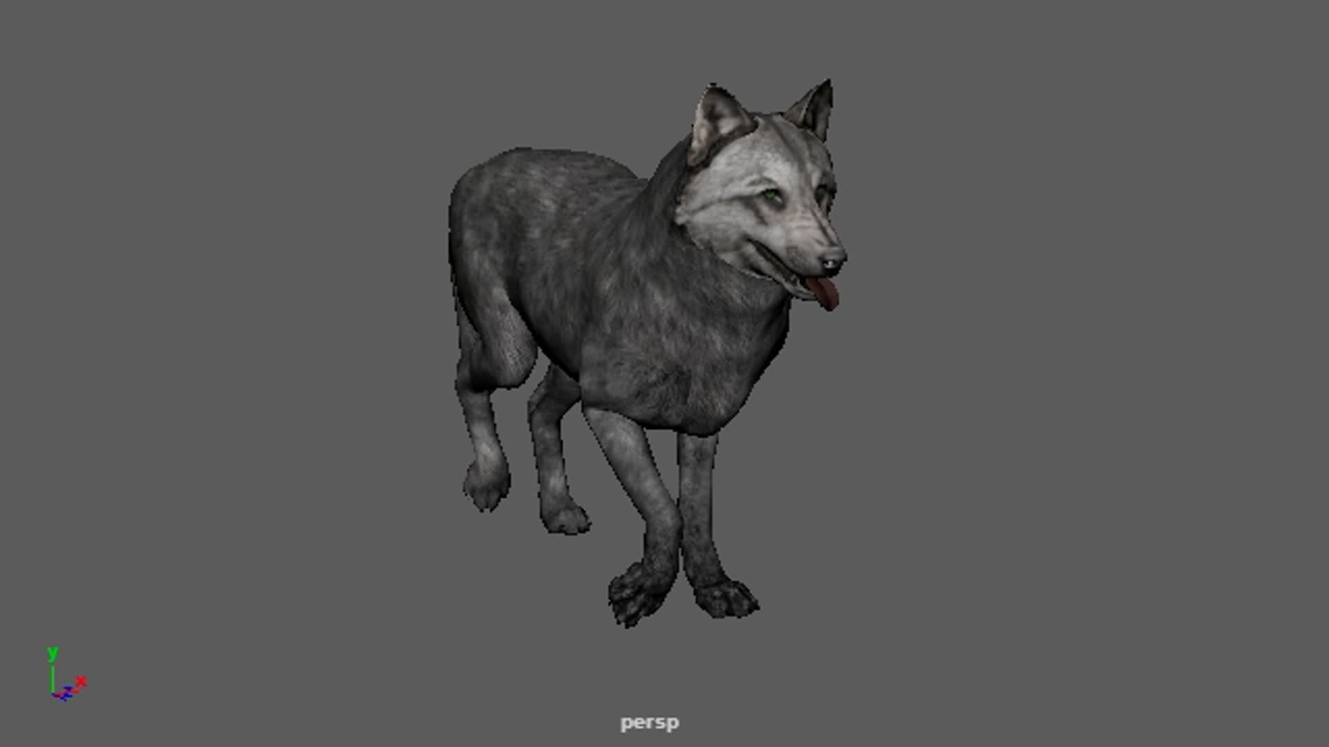 ArtStation - 3D Animation Cycles - Running Wolf