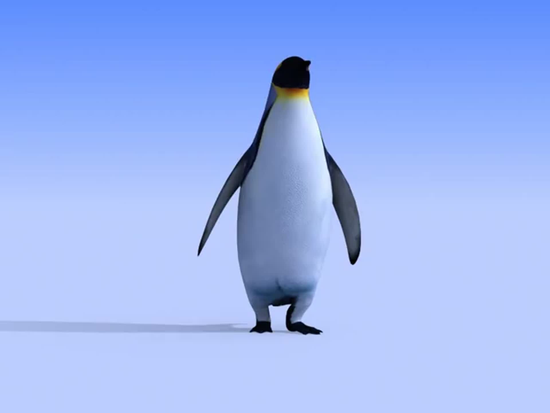 ArtStation - Animals Animations