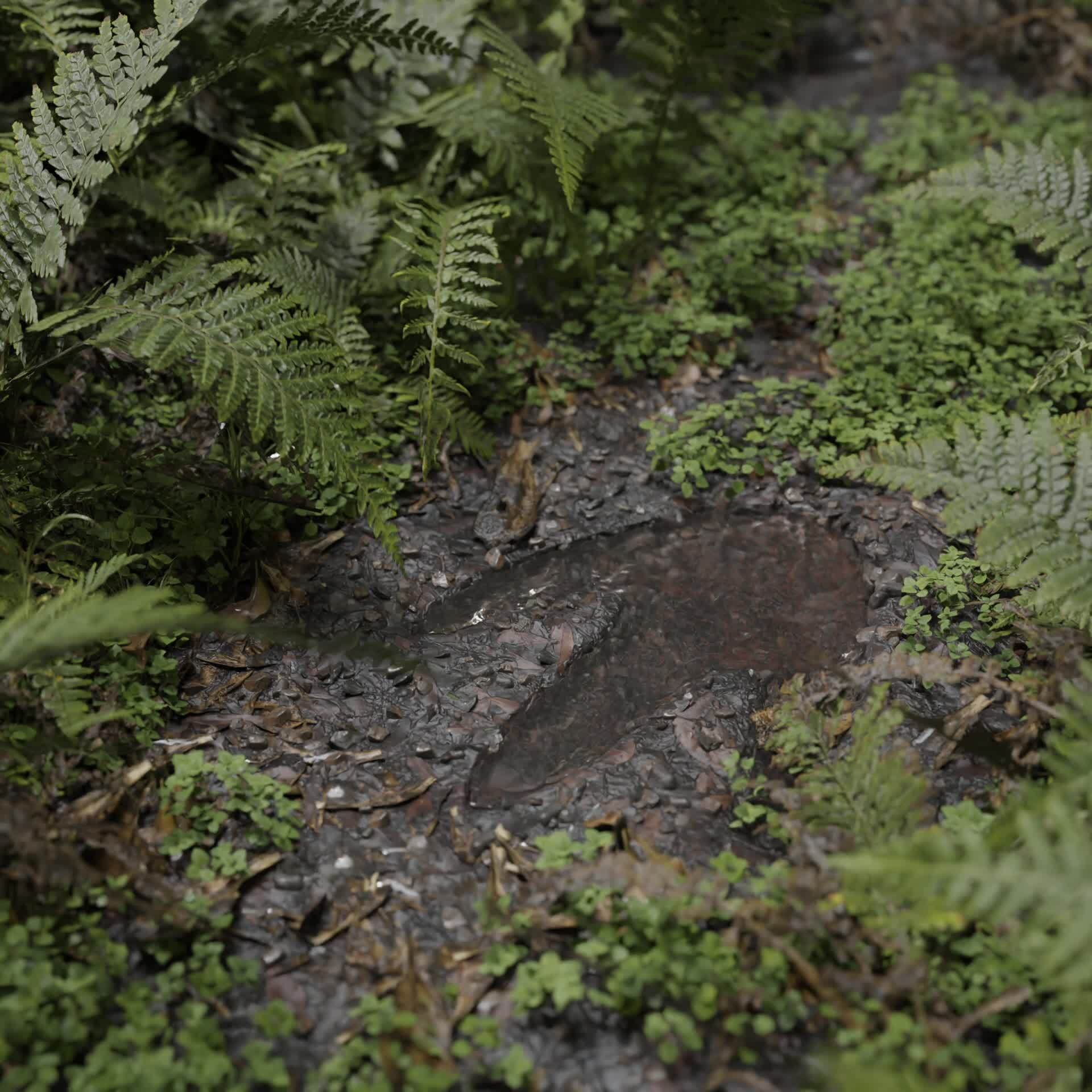 ArtStation - Tracking - Houdini Sim work