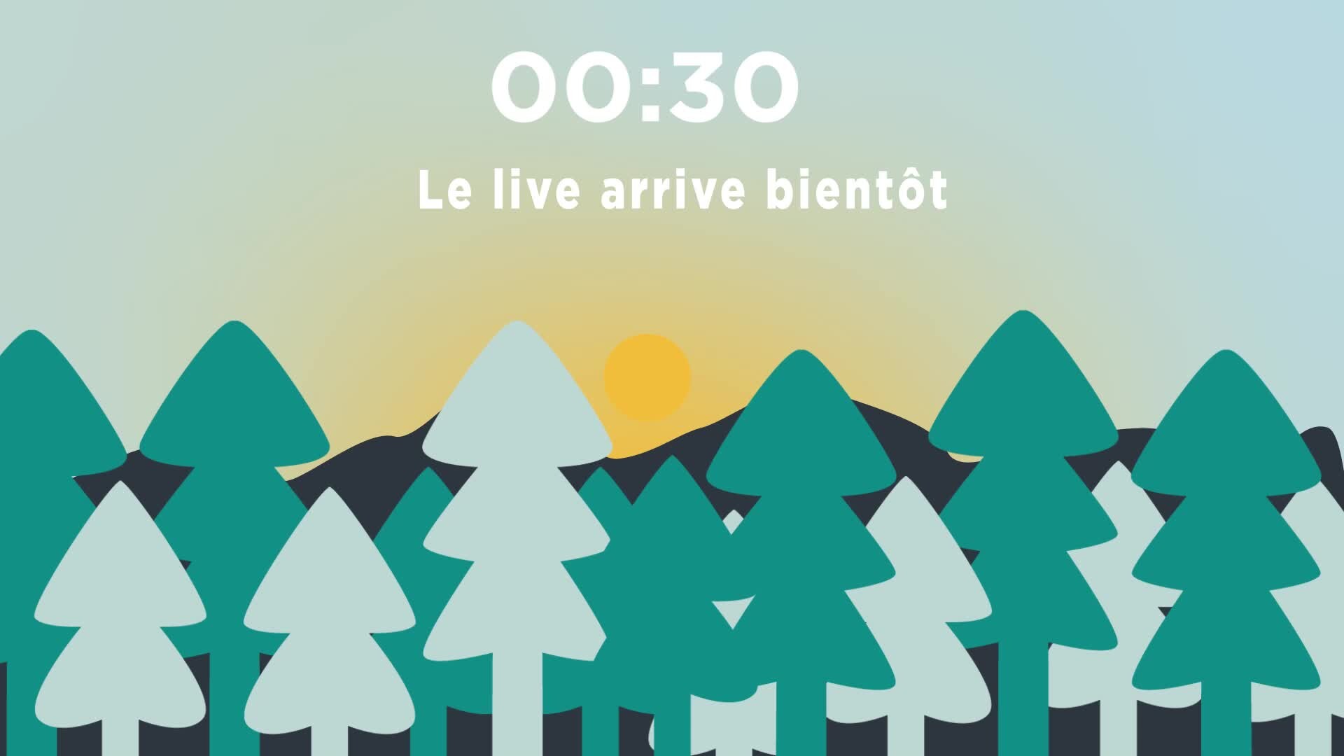 ArtStation - Ecran d'attente live