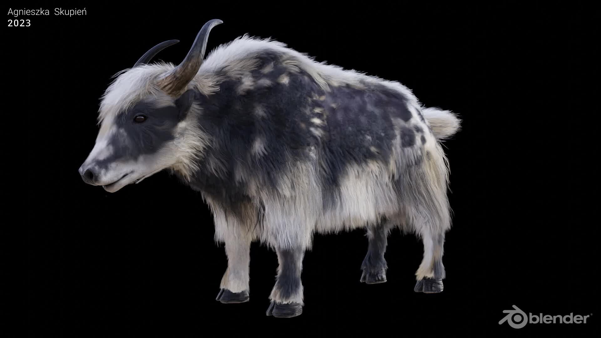 ArtStation - Himalayan Yak