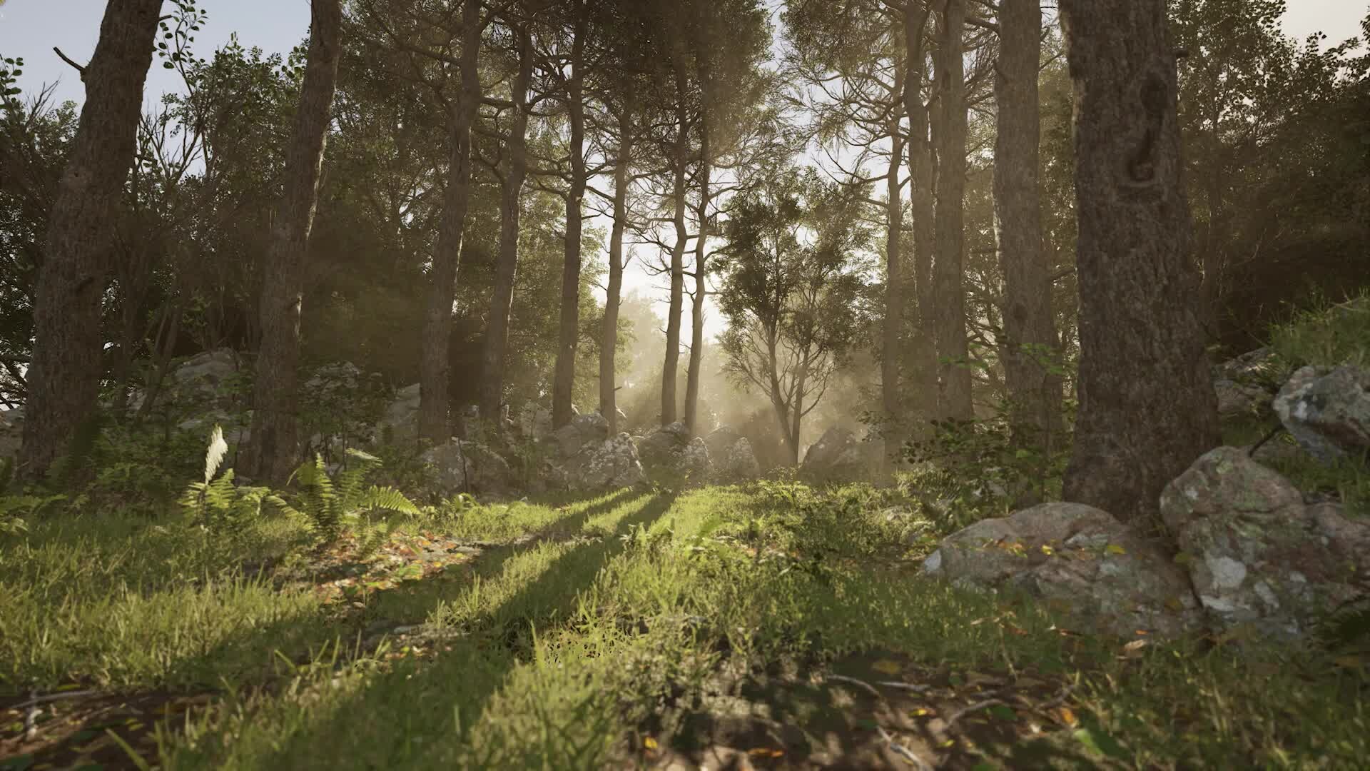 ArtStation - Realistic forest in UE5