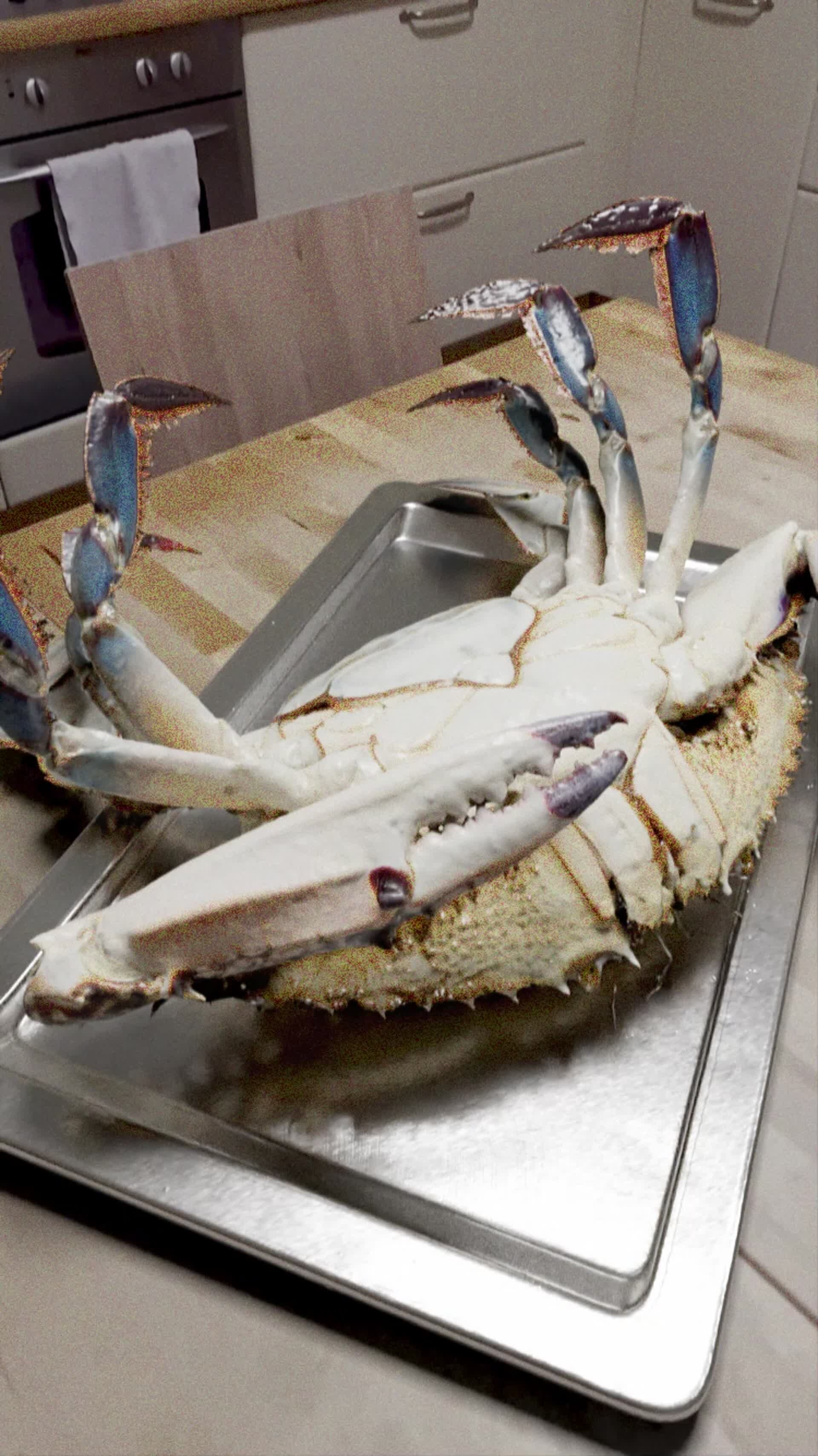 ArtStation - BIG Blue crab VFX