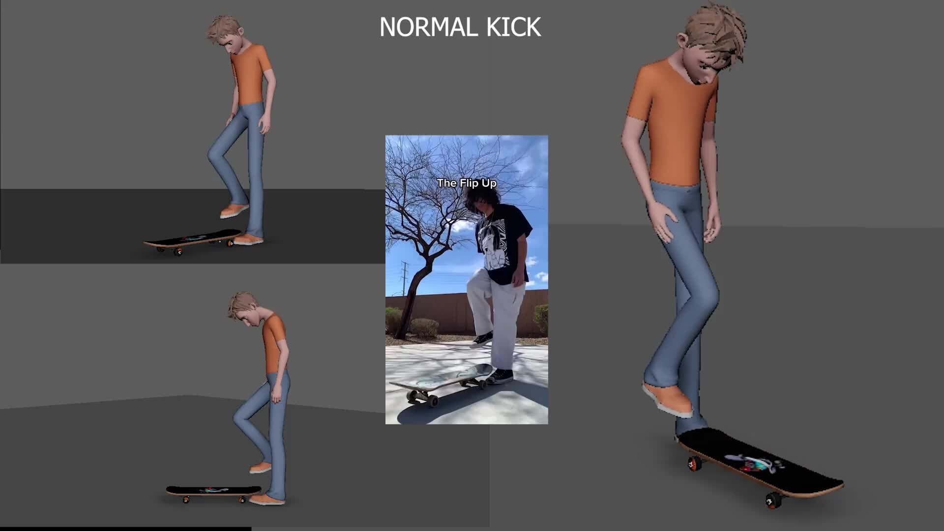 ArtStation - Skateboard animations